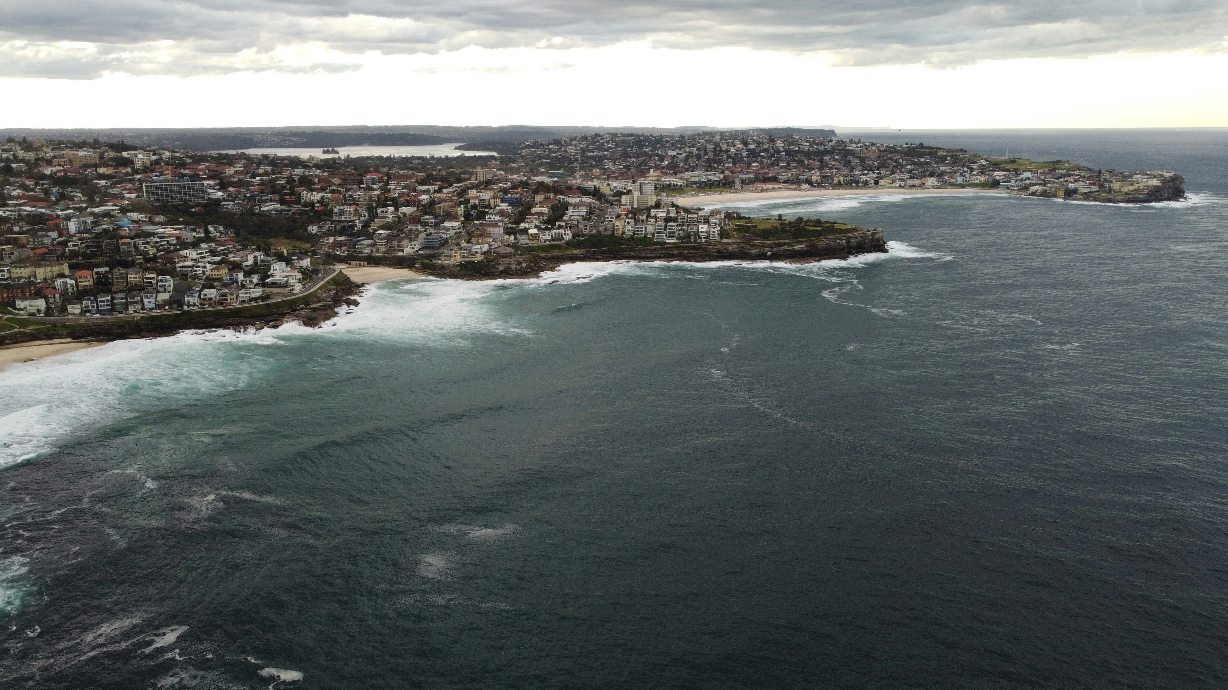 sydney😍