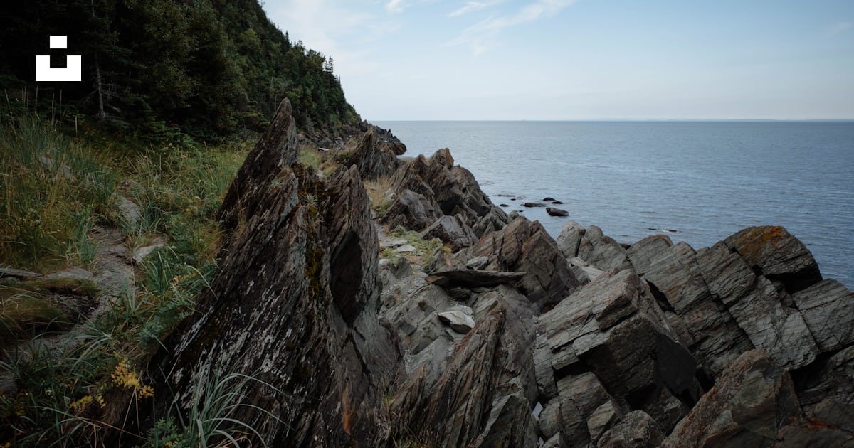 木々と水のある岩だらけの海岸線の写真 Unsplashの灰色の無料画像
