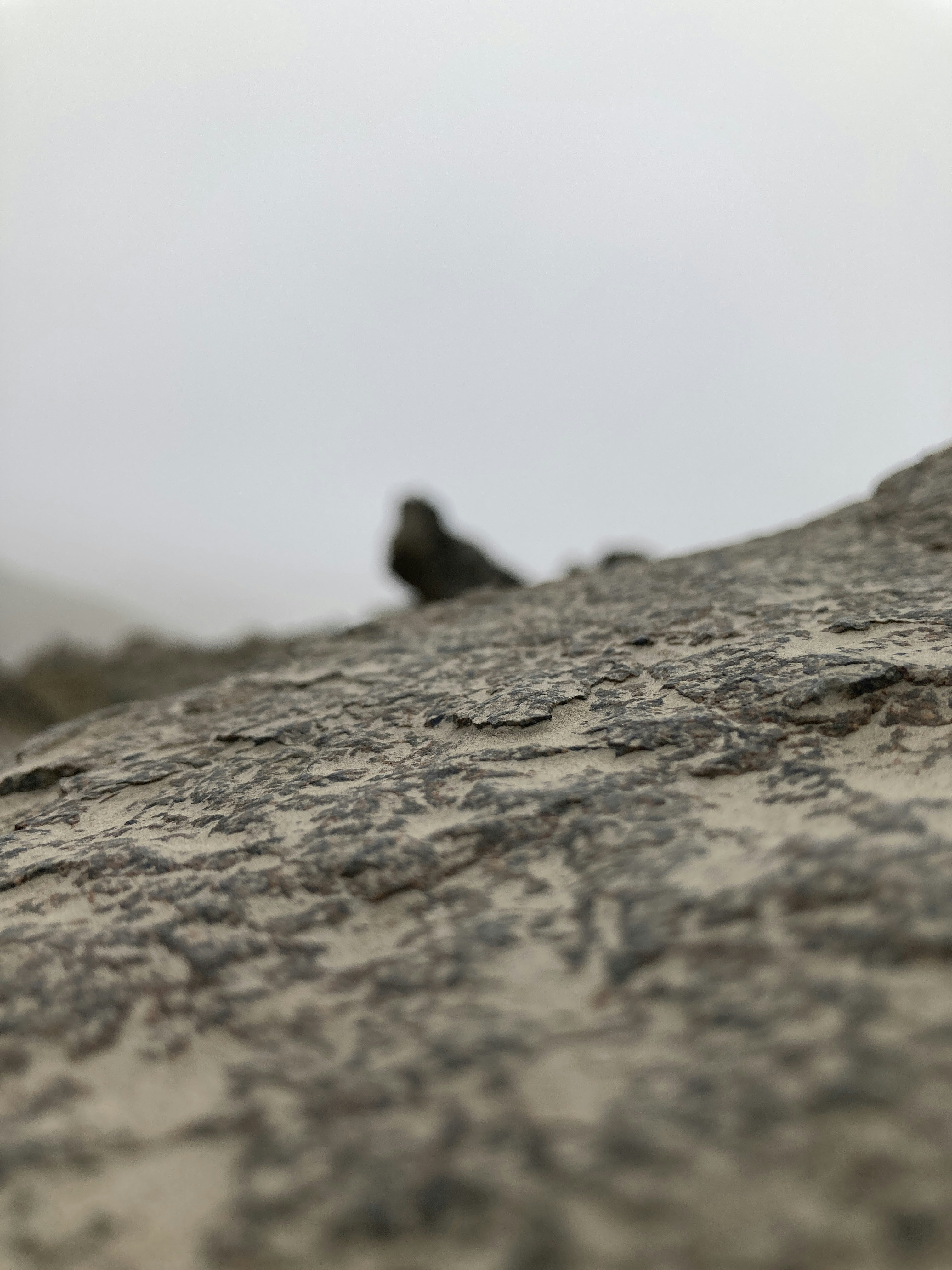 Un rocher troué photo – Photo La Molina Gratuite sur Unsplash