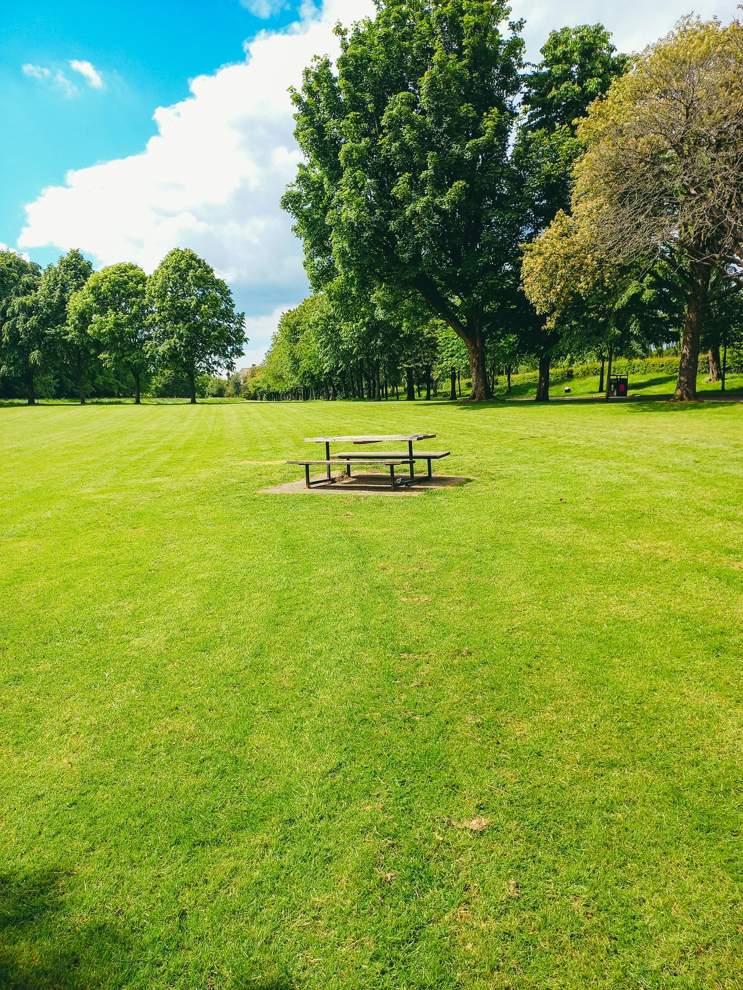 A picnic table sits centered on a vast, well-manicured lawn surrounded by vibrant trees under a partly cloudy sky.