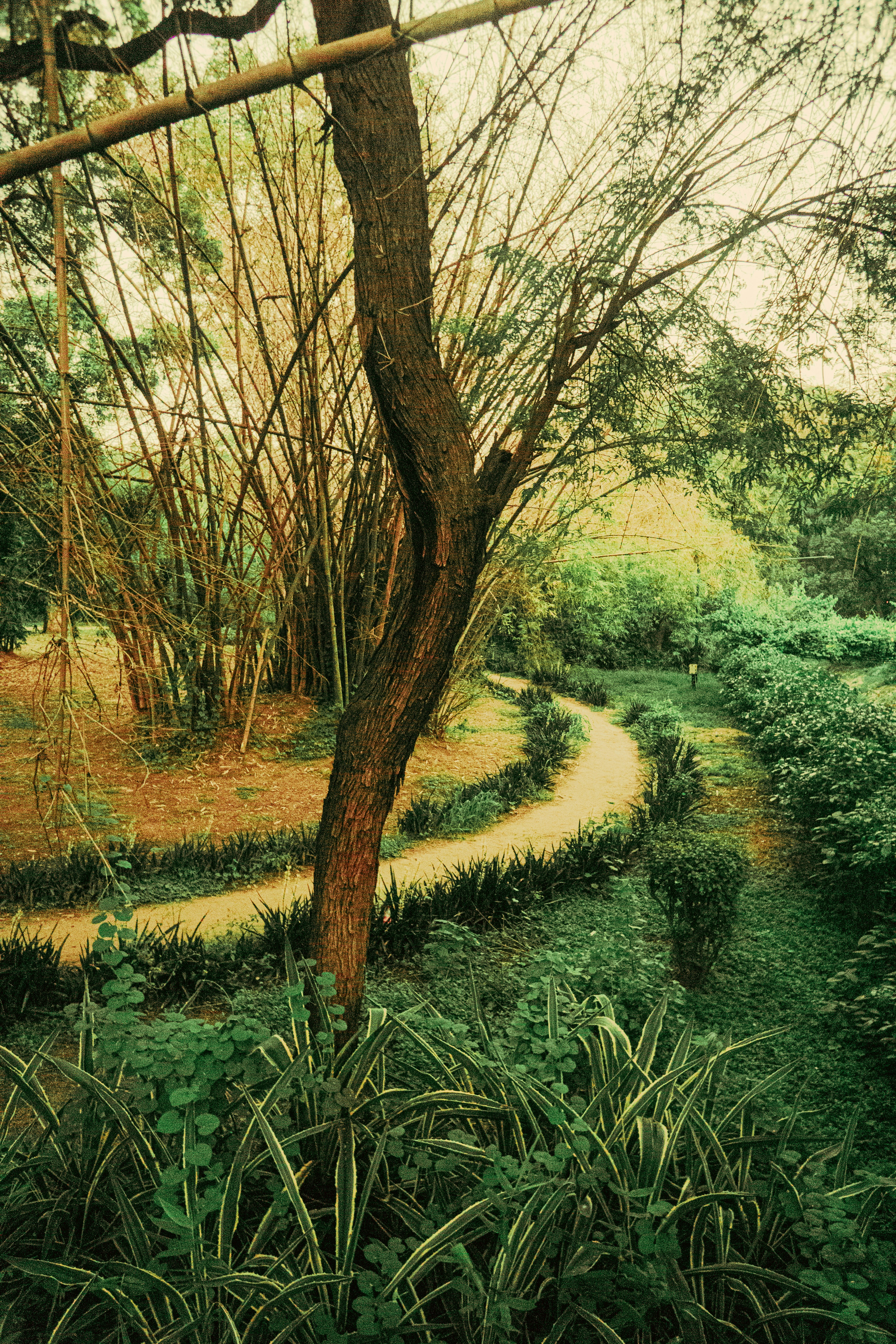 Photo by Dewang Gupta with Sony Alpha 6000