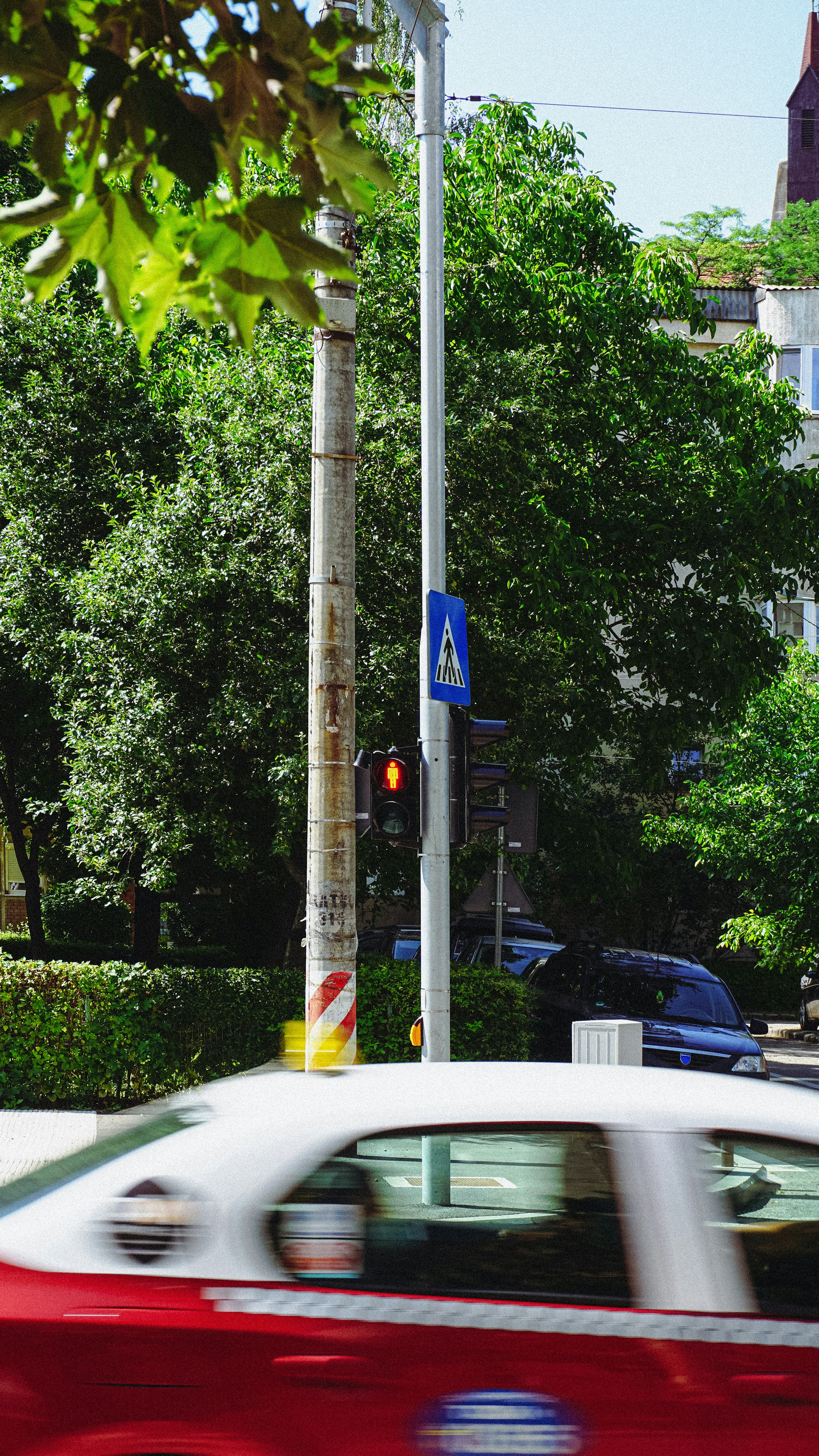 A traffic light with a flag photo – Free Cluj-napoca Image on Unsplash