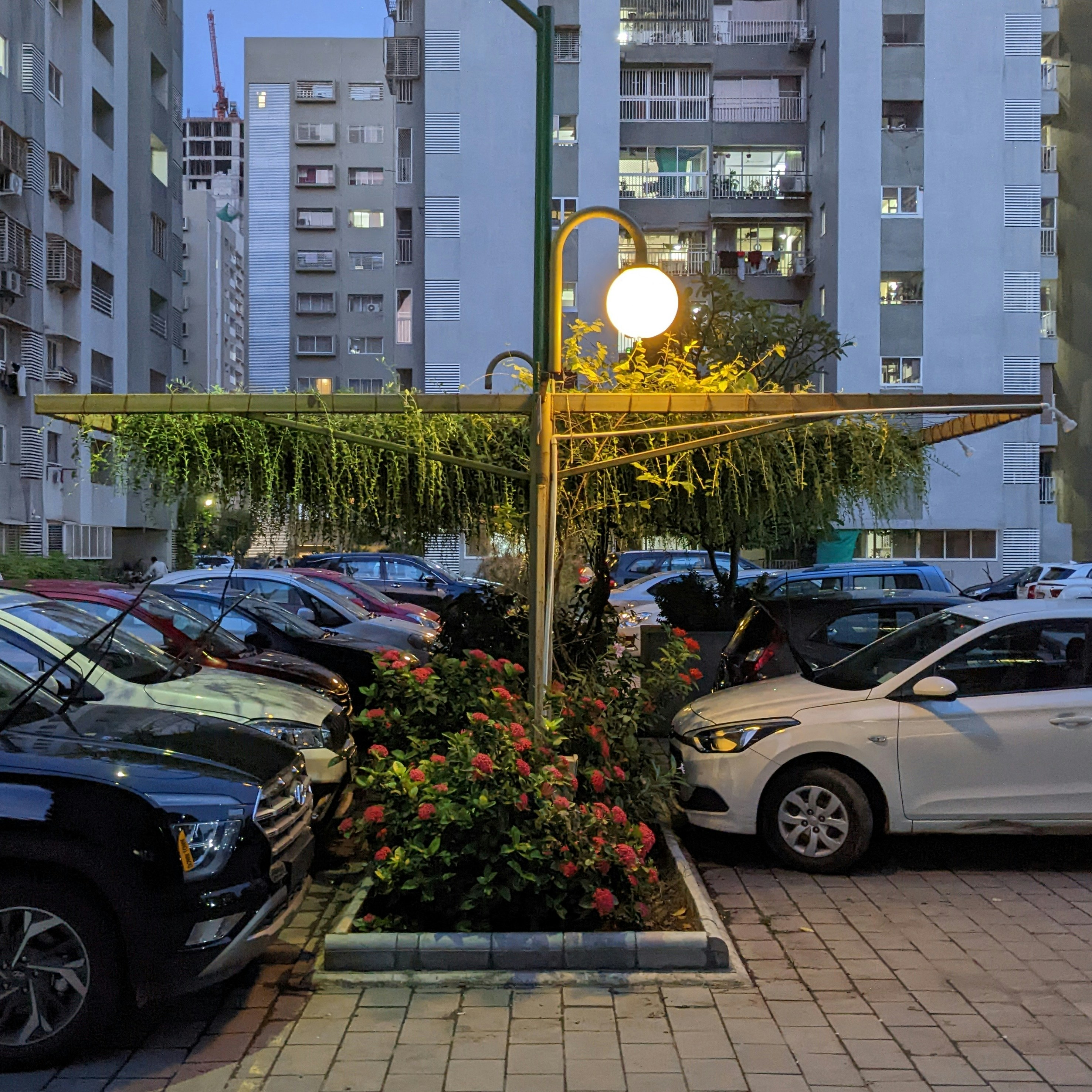 A serene garden feature illuminated by a warm light amidst parked cars and residential buildings, showcasing urban greenery.