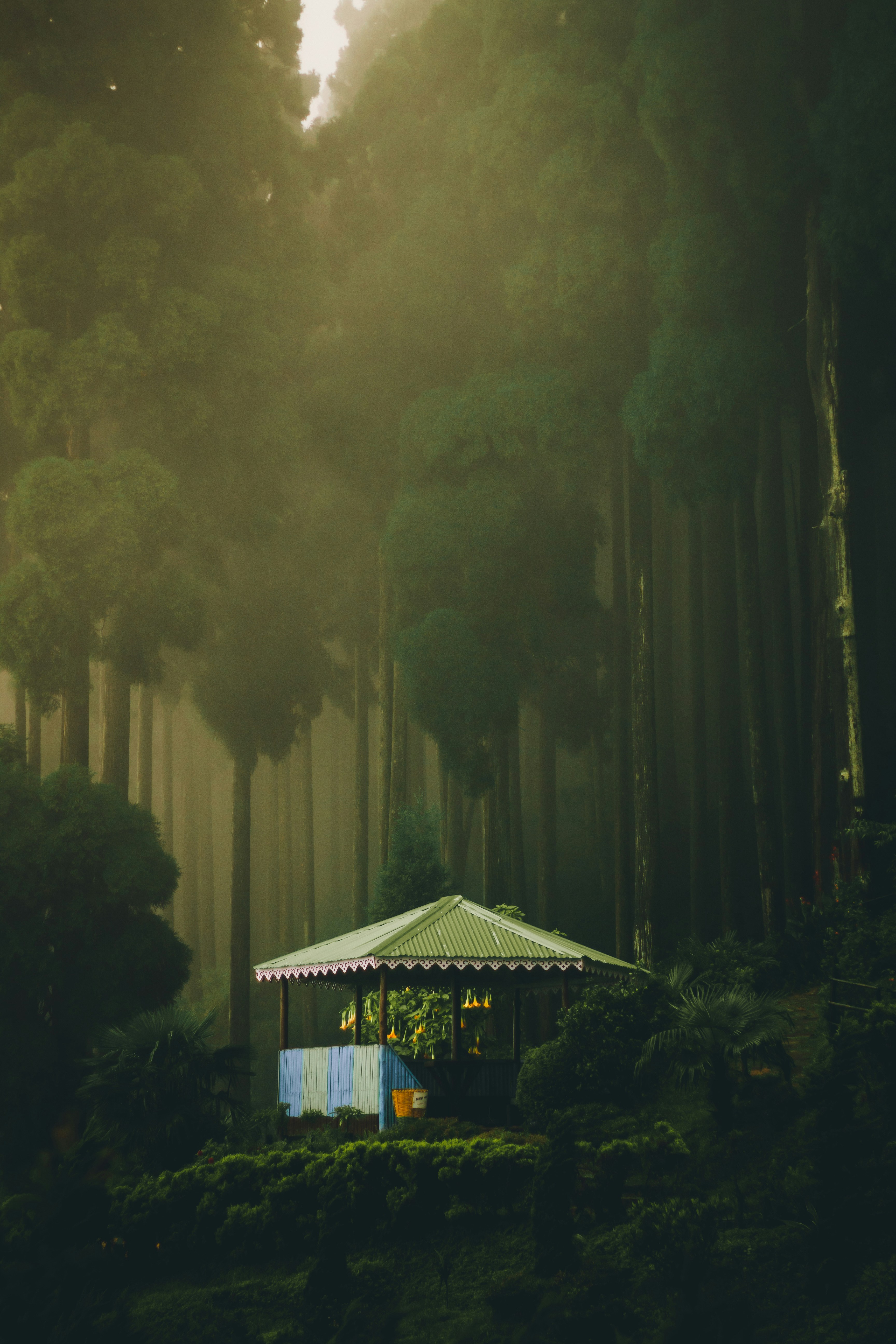 Rudra Chakraborty (@rudroooo) | Comunidade de fotos da Unsplash