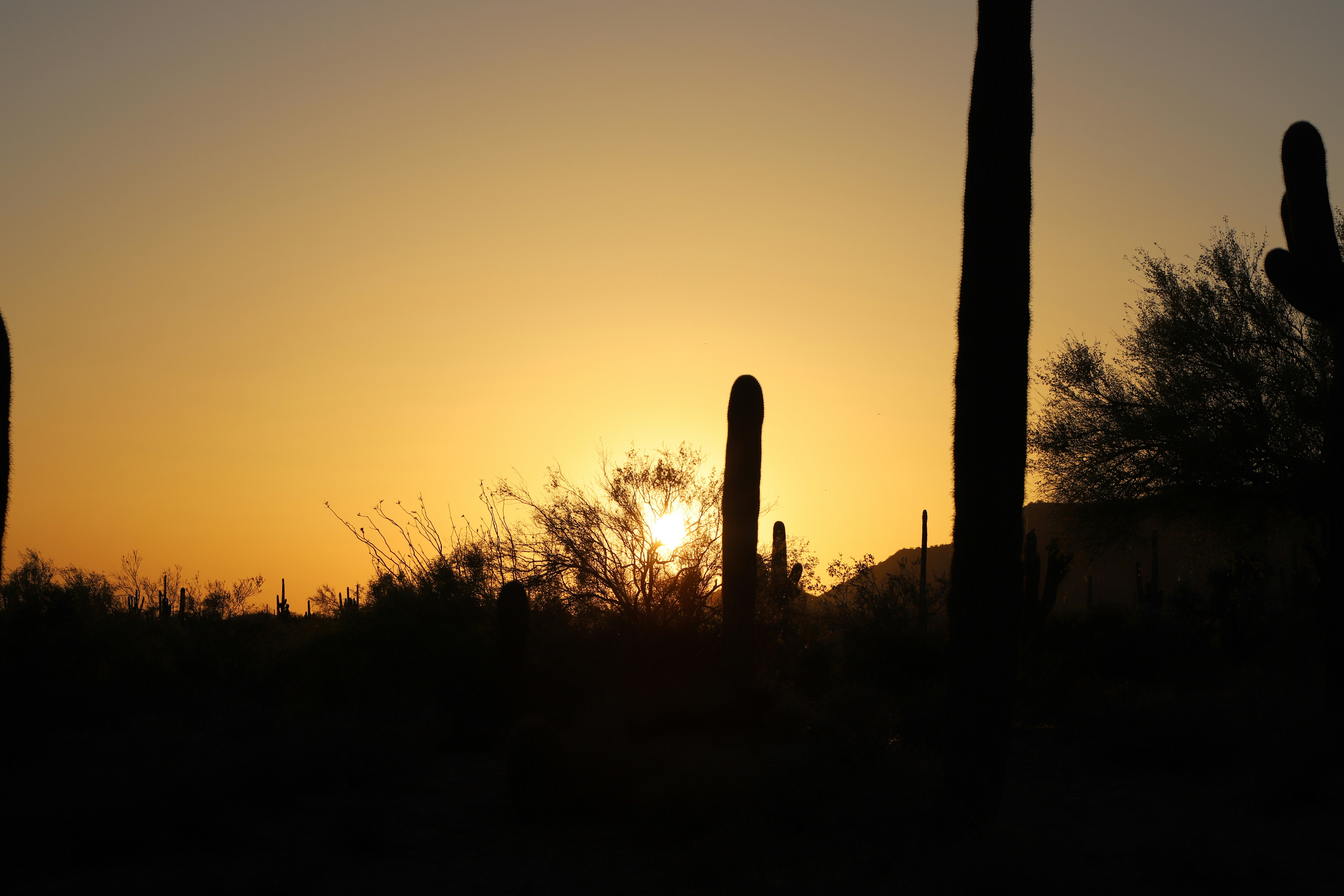 Photo by soumya parthasarathy with Canon EOS 6D Mark II