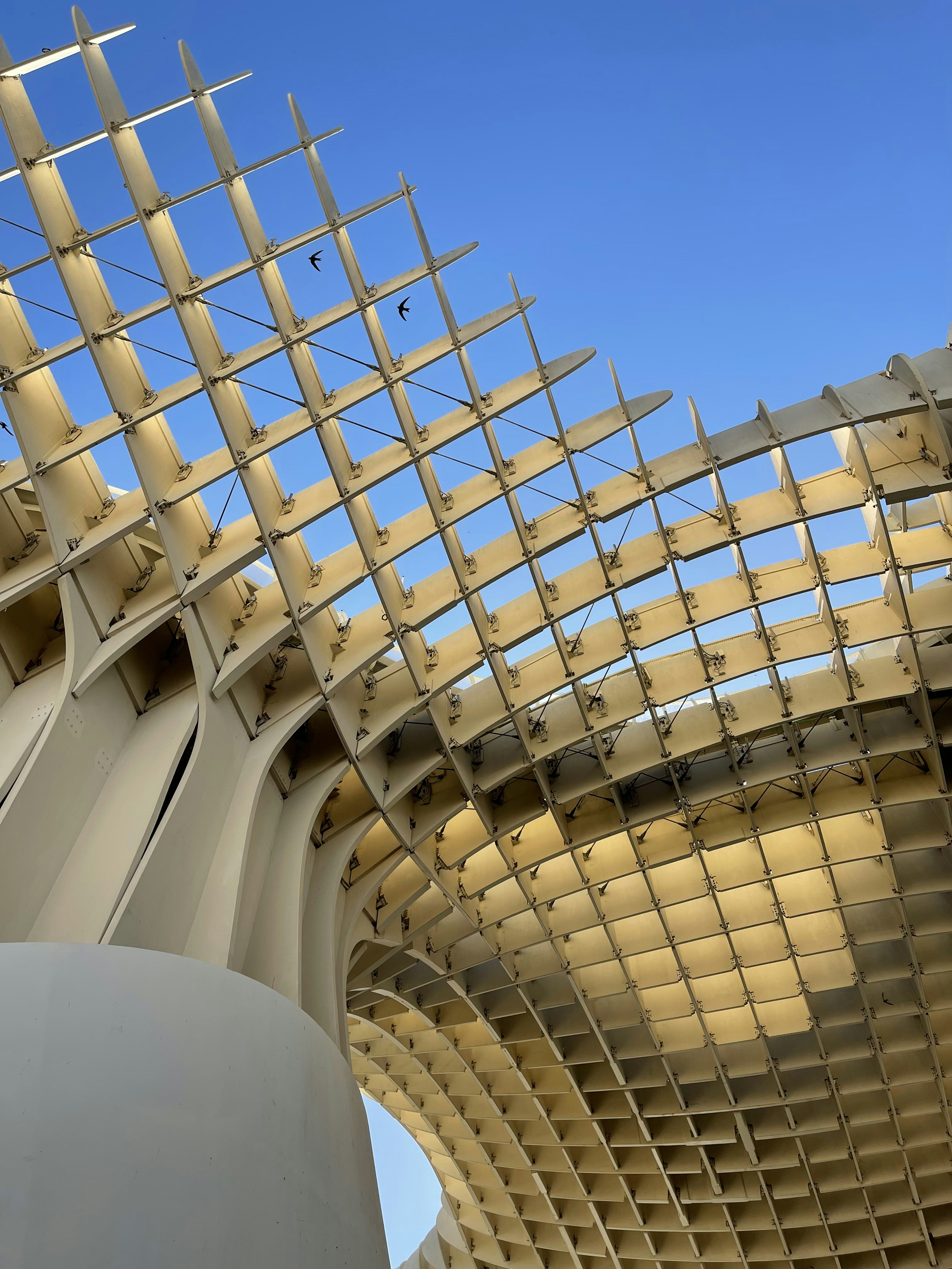 Sunlit Lattice Canopy: Ribs Carving Light Across a Clear Sky