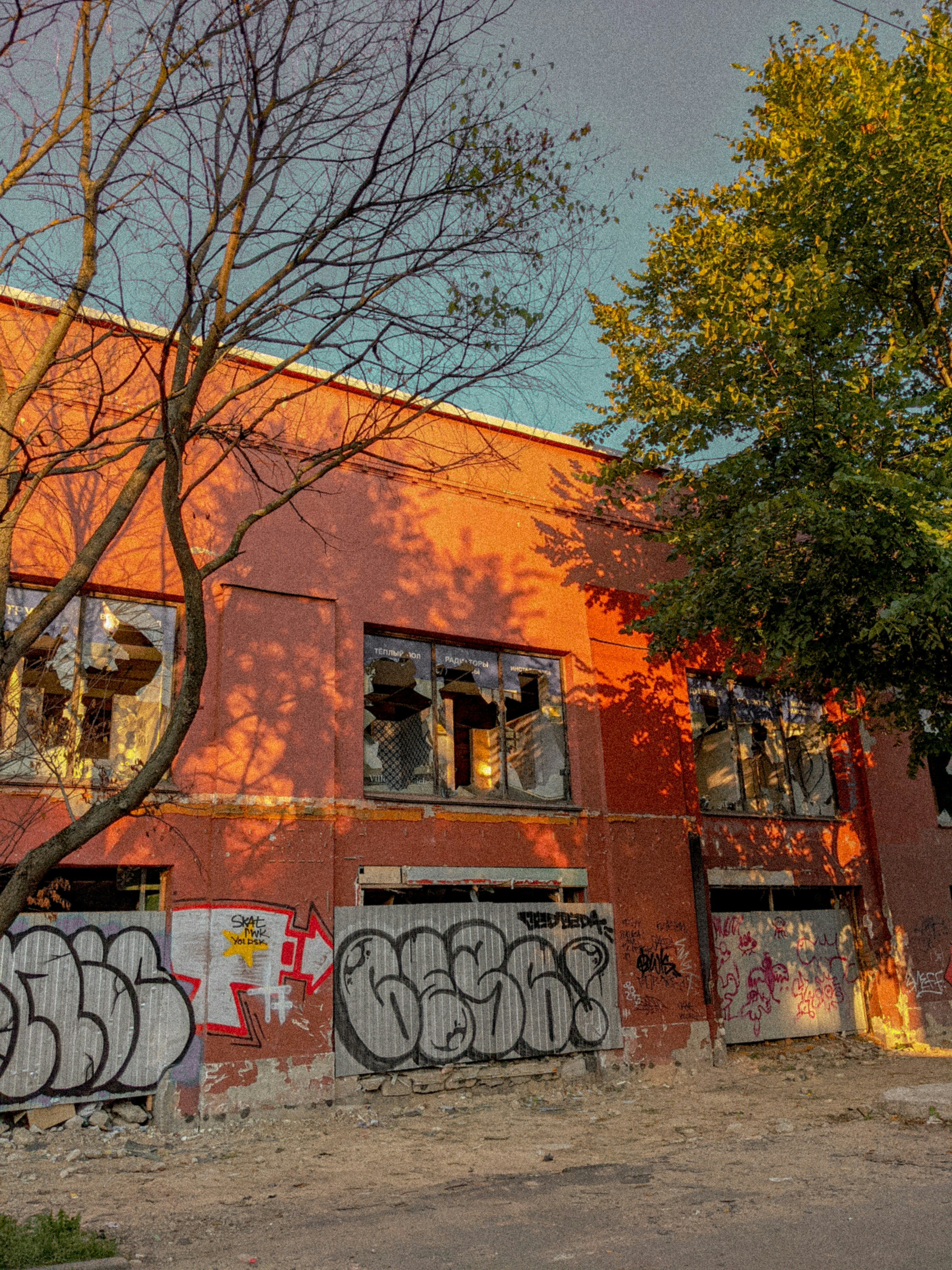 Urban brick building bathed in warm late-afternoon light, with graffiti-covered storefronts along the lower wall. Trees frame the scene, casting long shadows across the red facade.