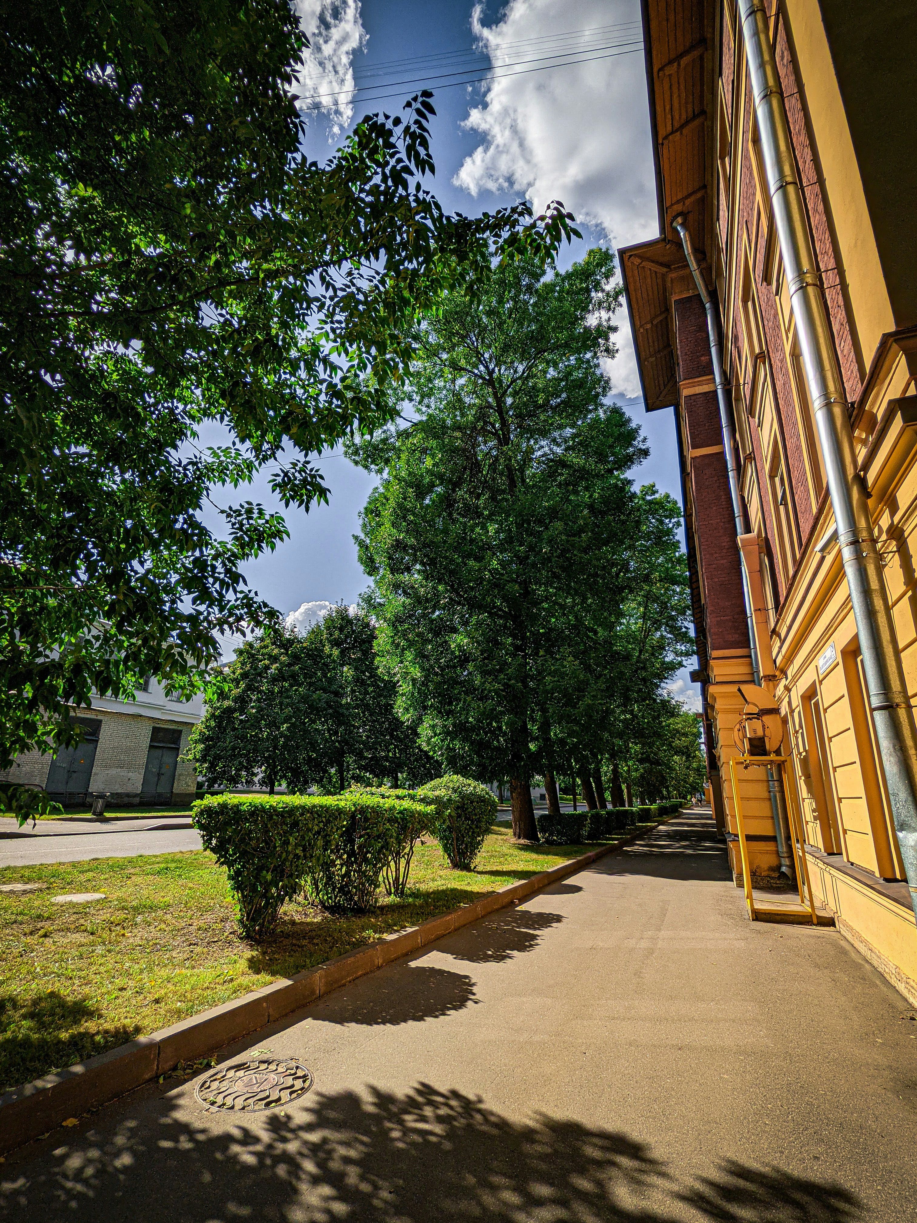Lush greenery lines a peaceful urban walkway, with sunlight filtering through the leaves and a charming building on the right. The scene invites tranquility and reflection.