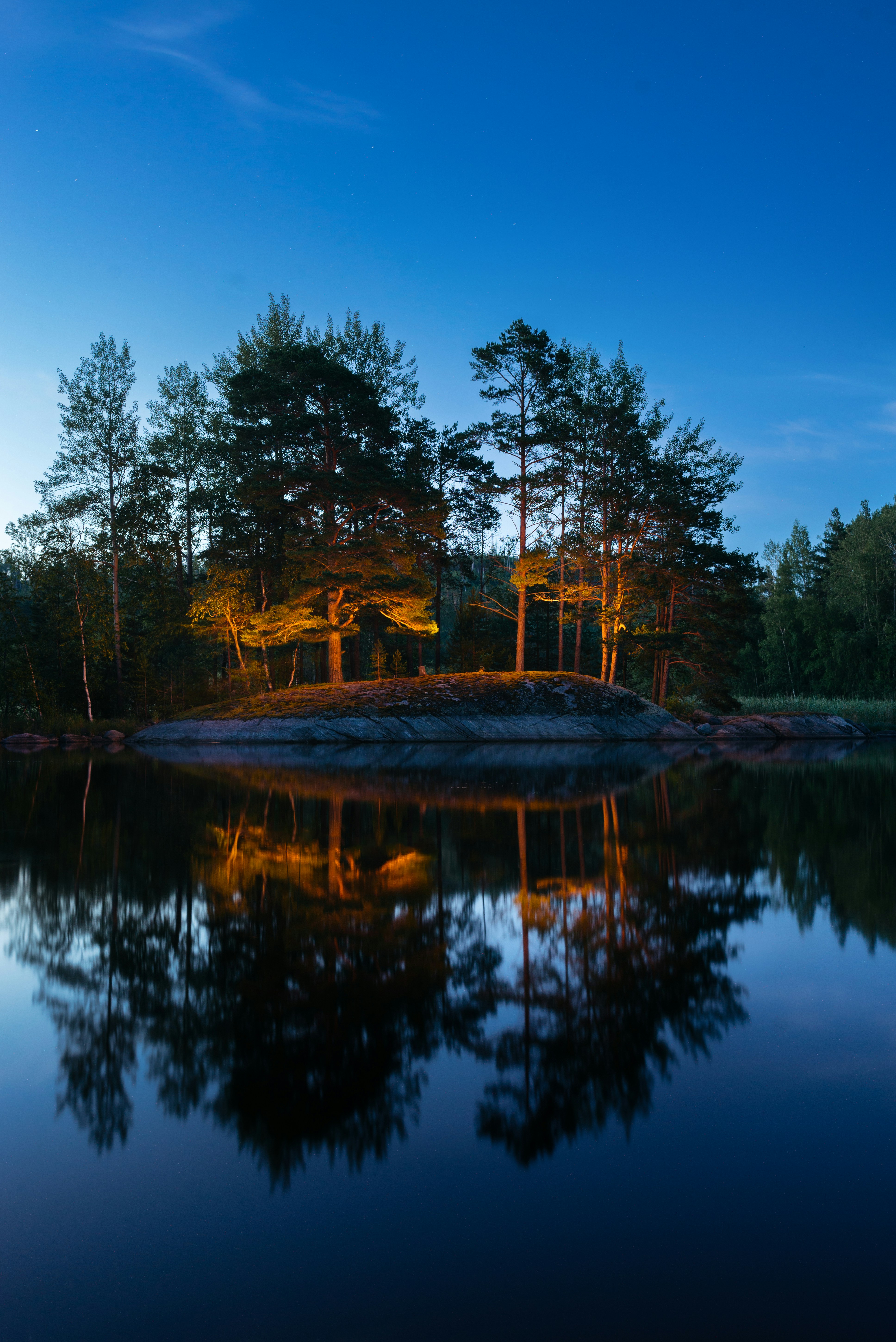 Twin-Tree Island Under a Velvet Dusk