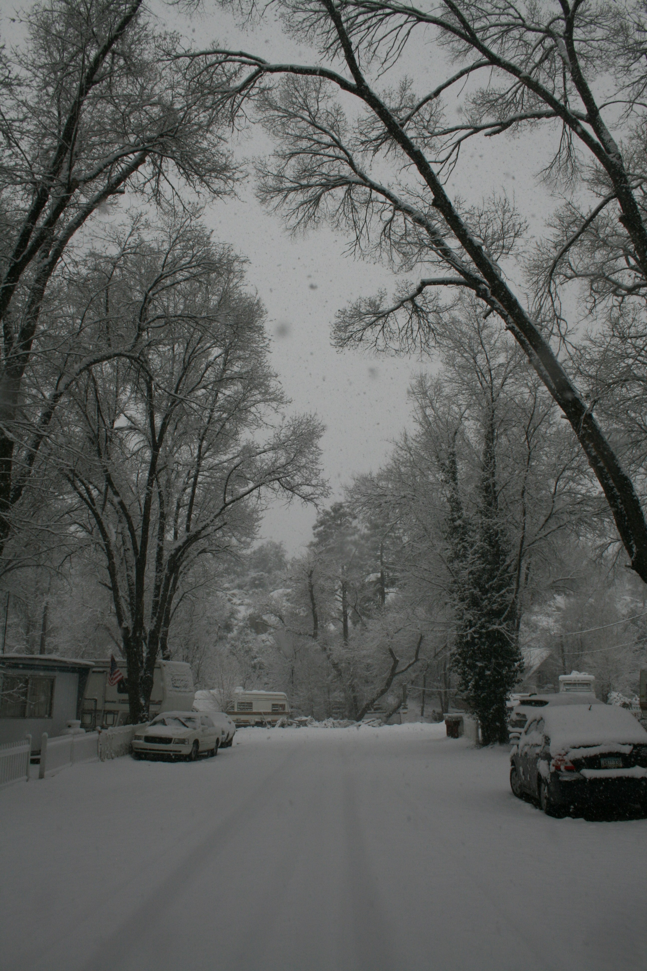 A snowy street with cars parked on the side and trees on the side photo ...