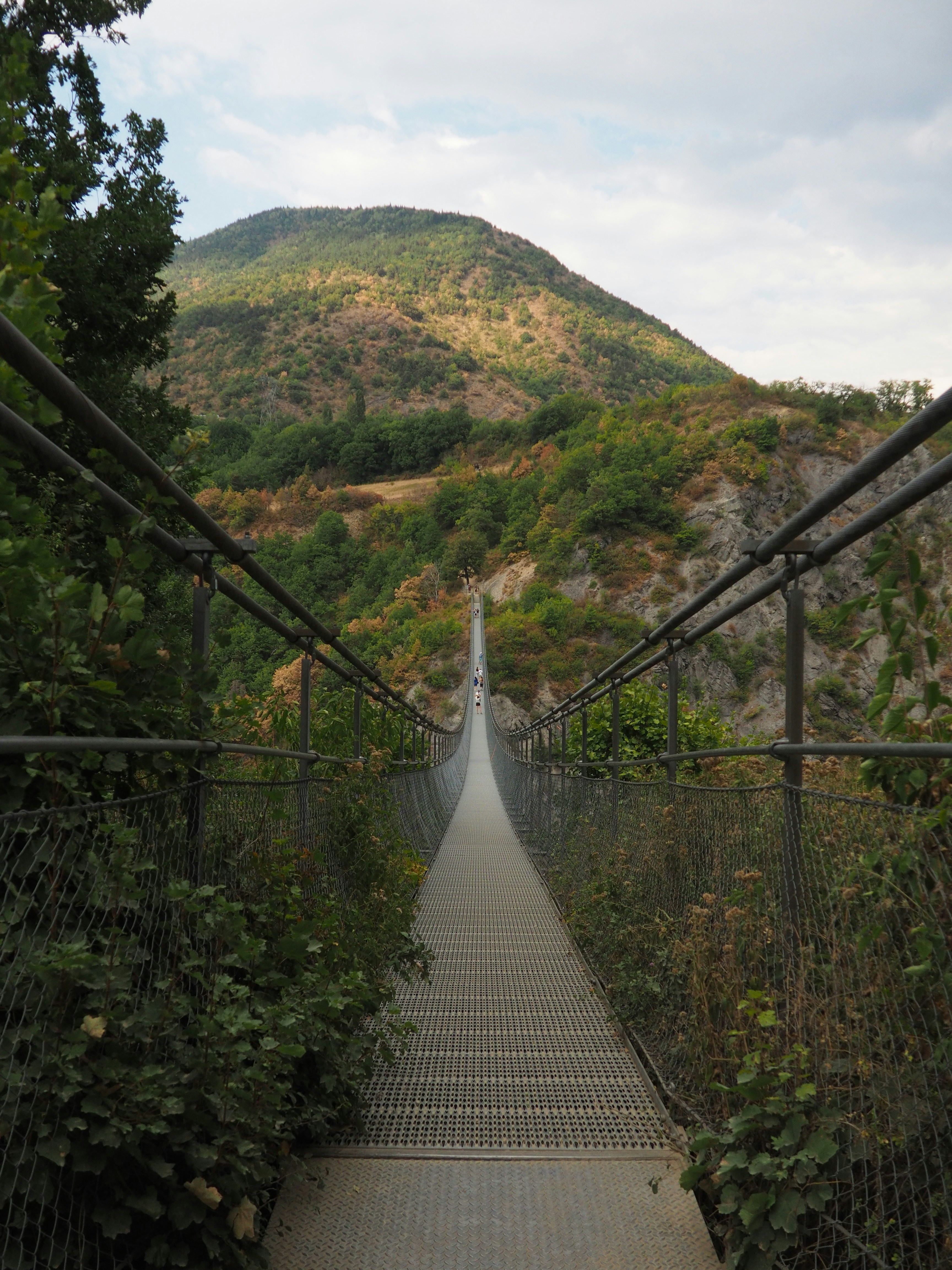 Ridgebound Suspension: A Narrow Bridge to the Quiet Summit