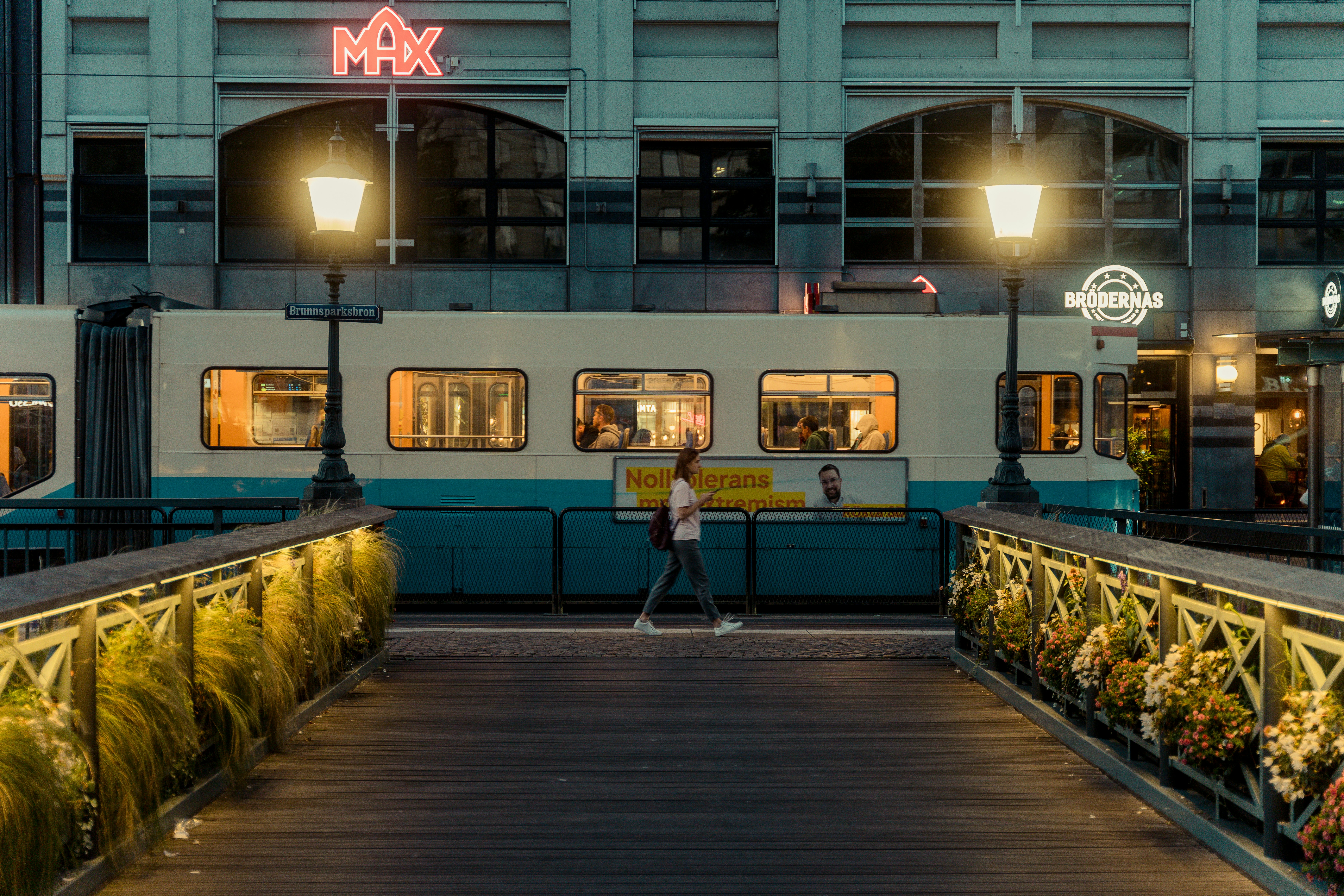 Passenger in Transit: A Quiet Moment on the Harbour Rail