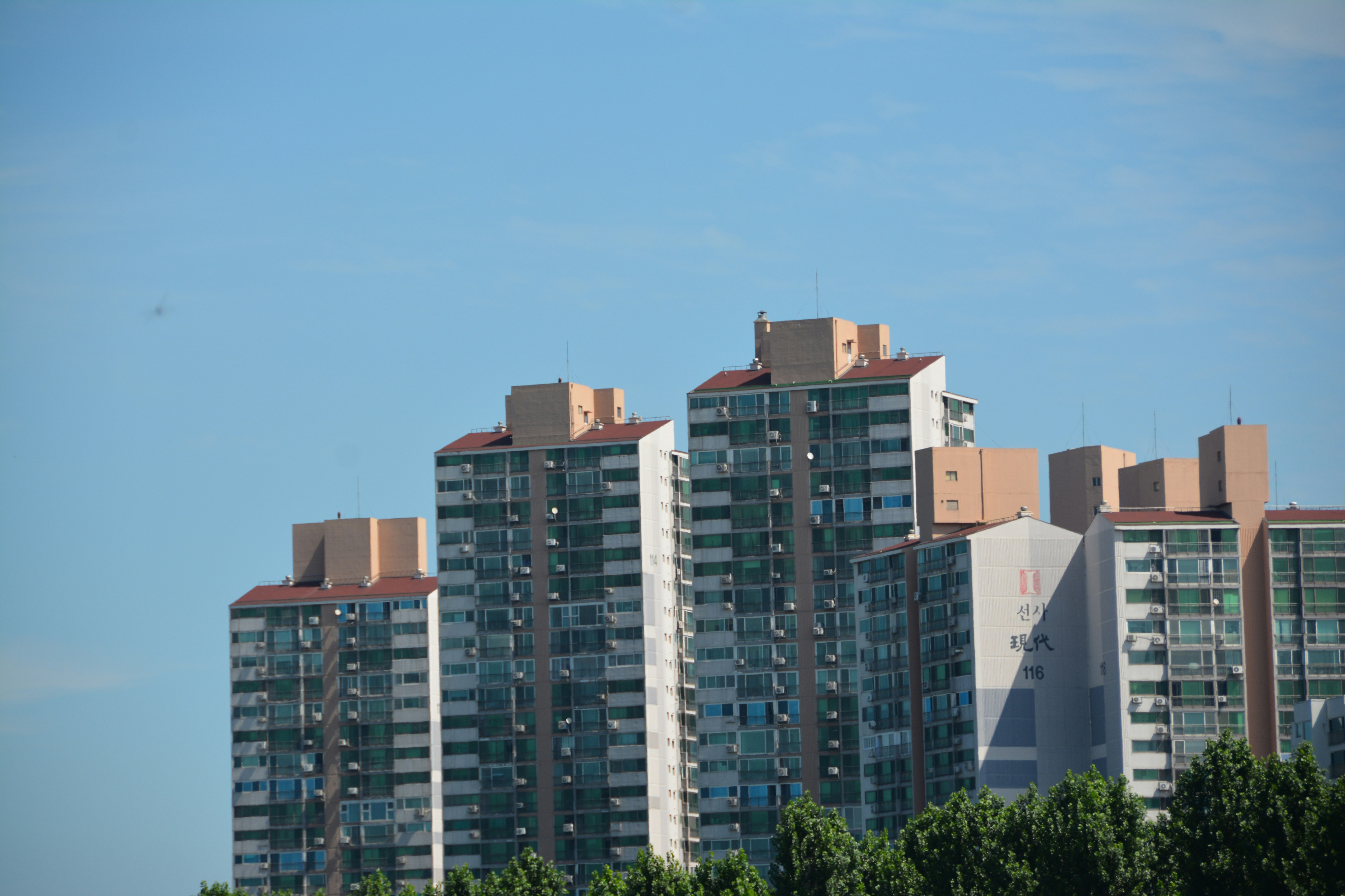 Photo by Adil Edin with Nikon D7100