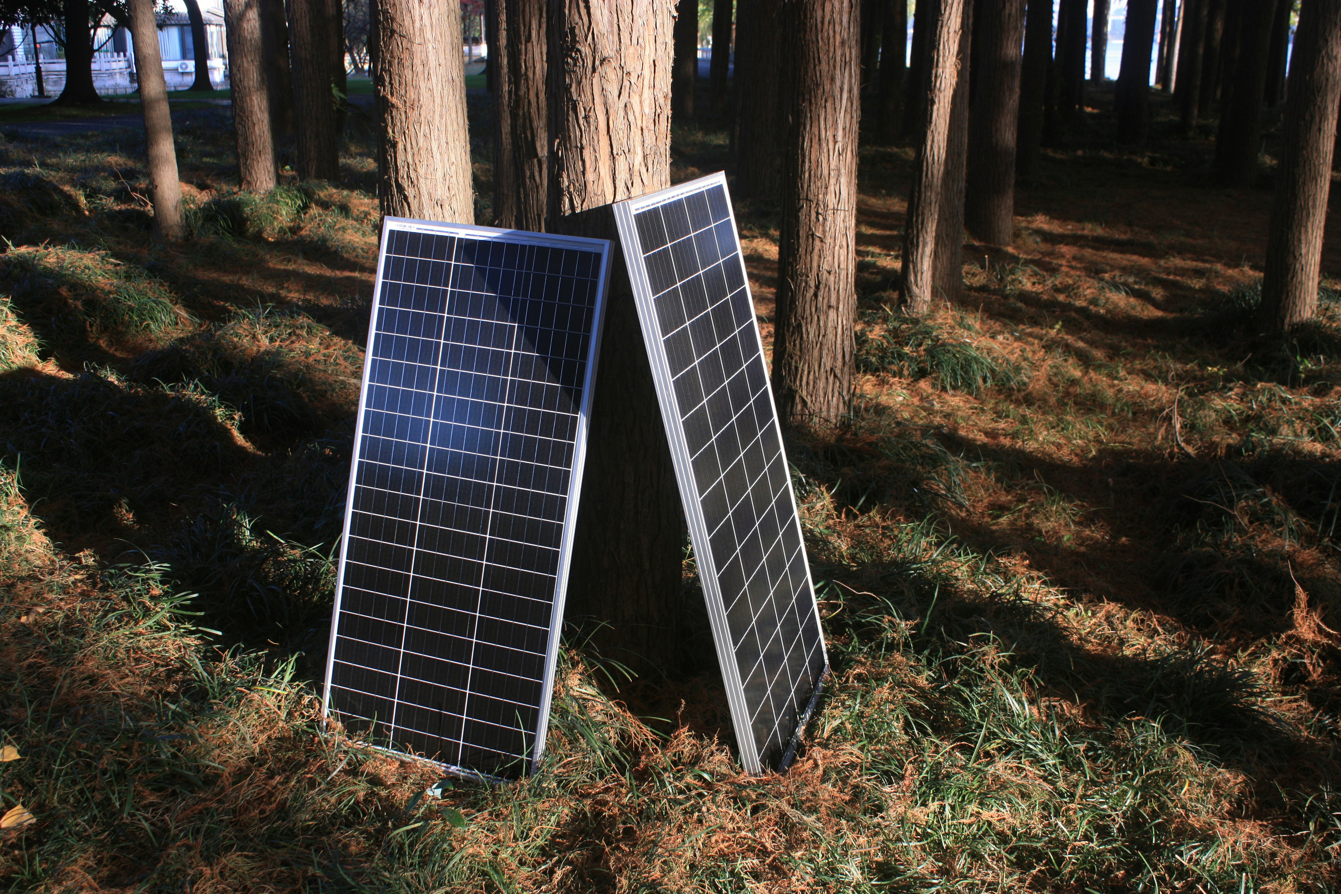 DIY Homesteading Projects | Homestead Projects