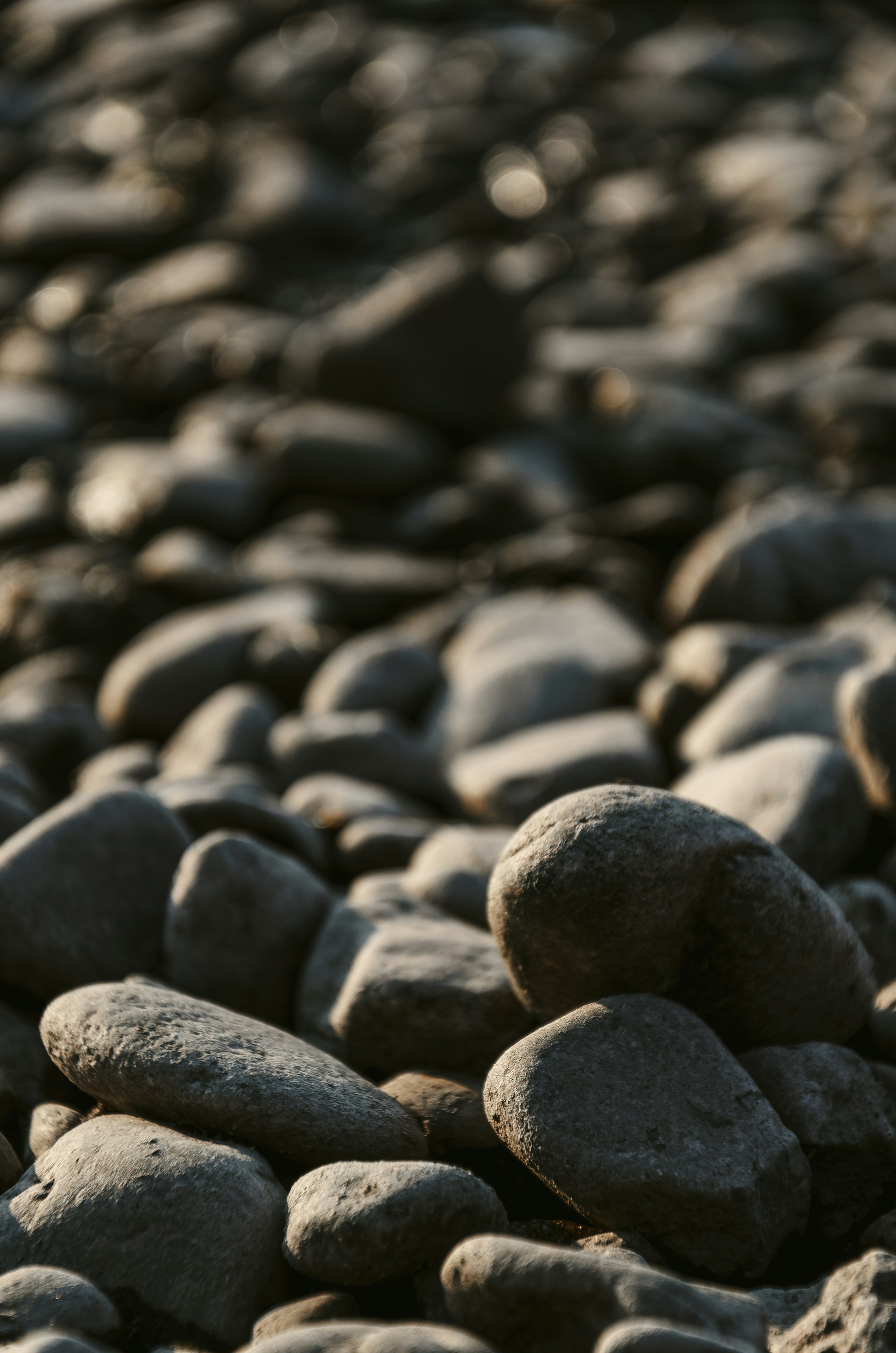 a close-up of some rocks