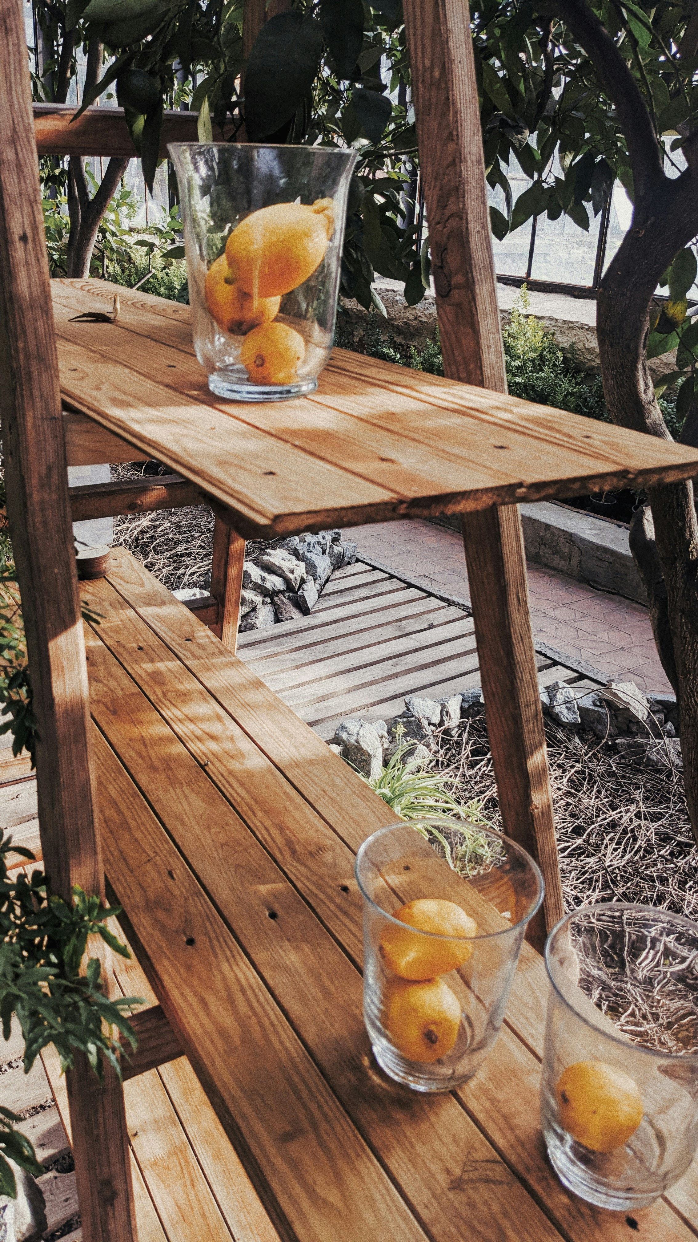 Sunlit Citrus in Glass on a Weathered Outdoor Shelf