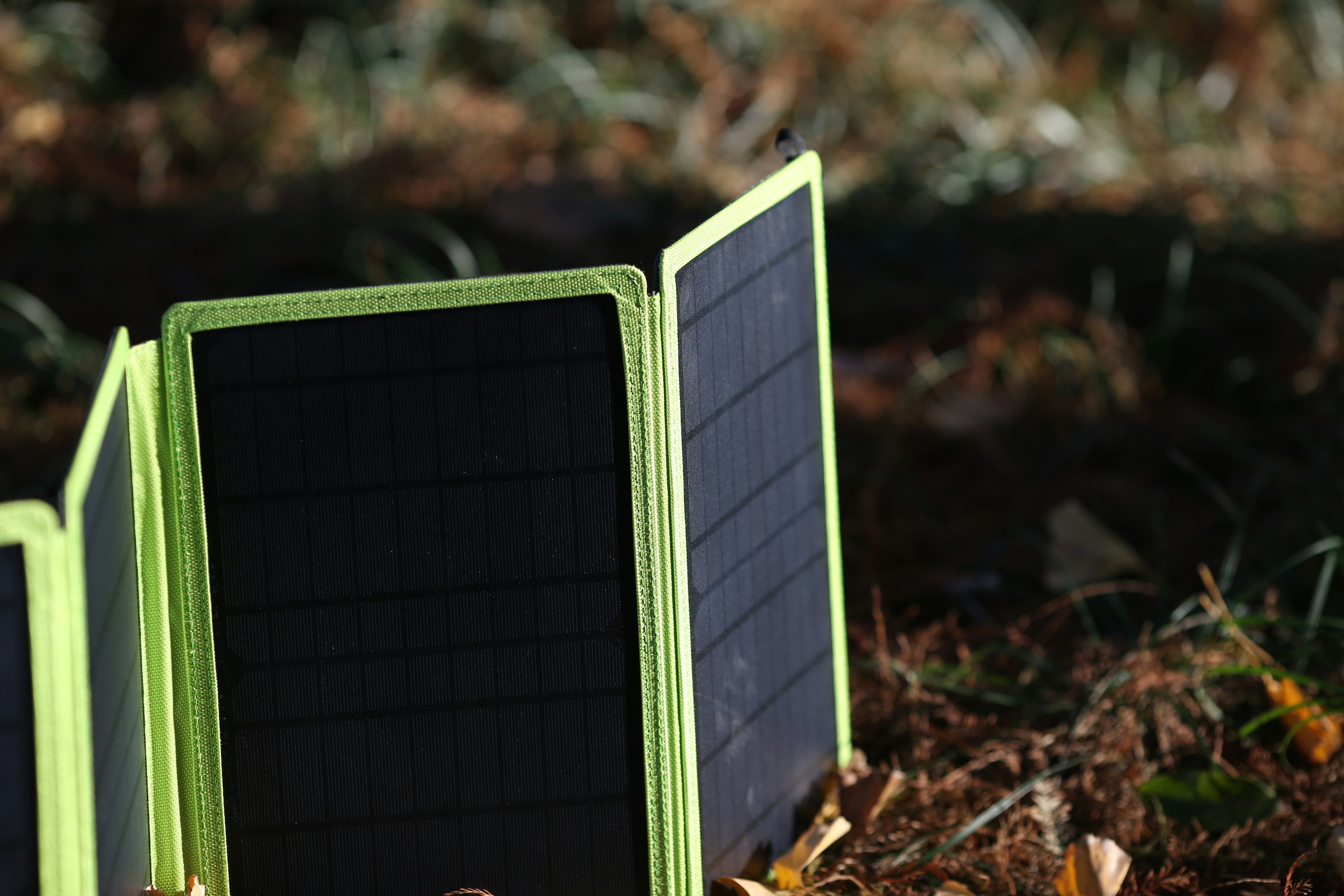 Photo by Newpowa with Canon EOS-1D X