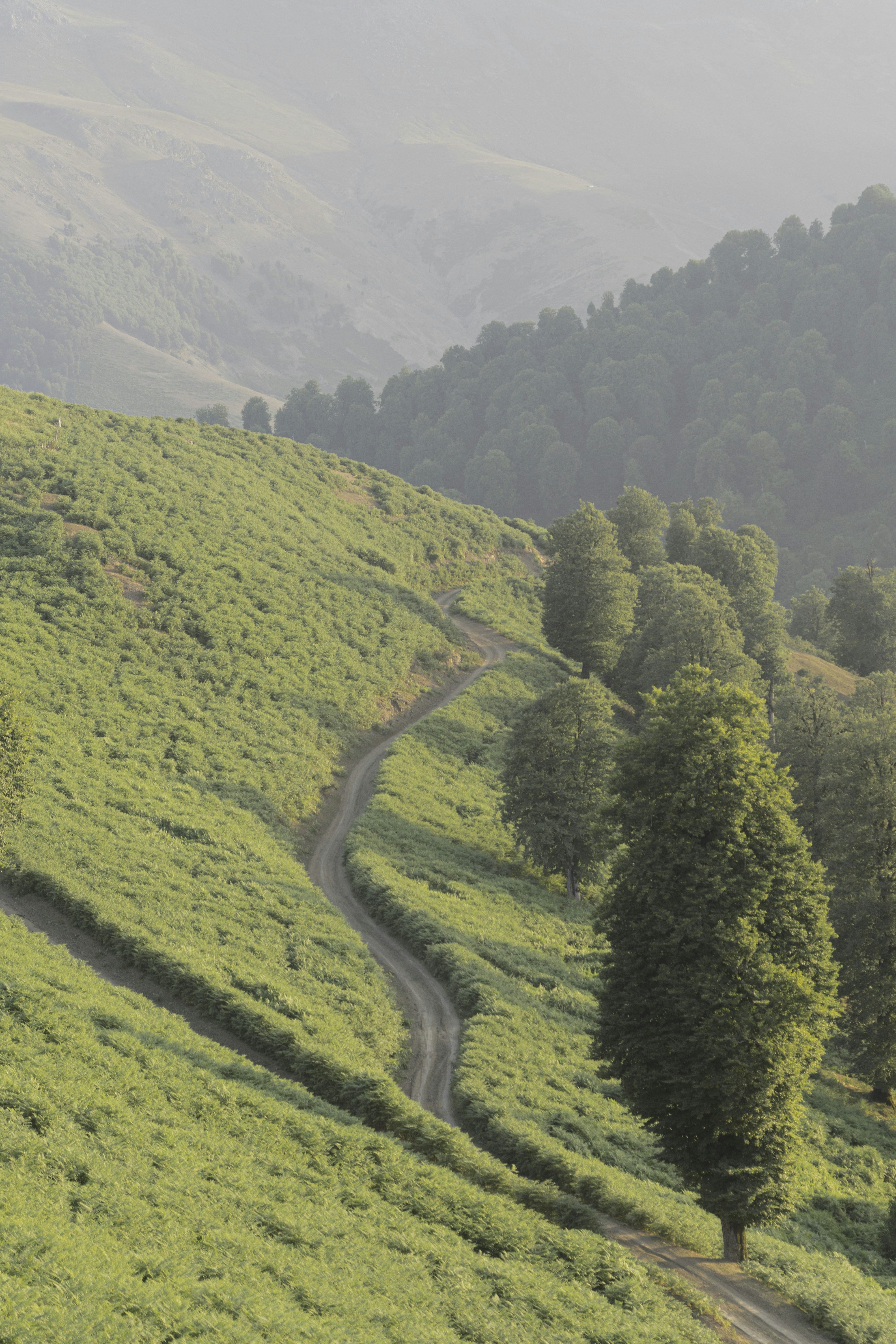 small road in the mountains
