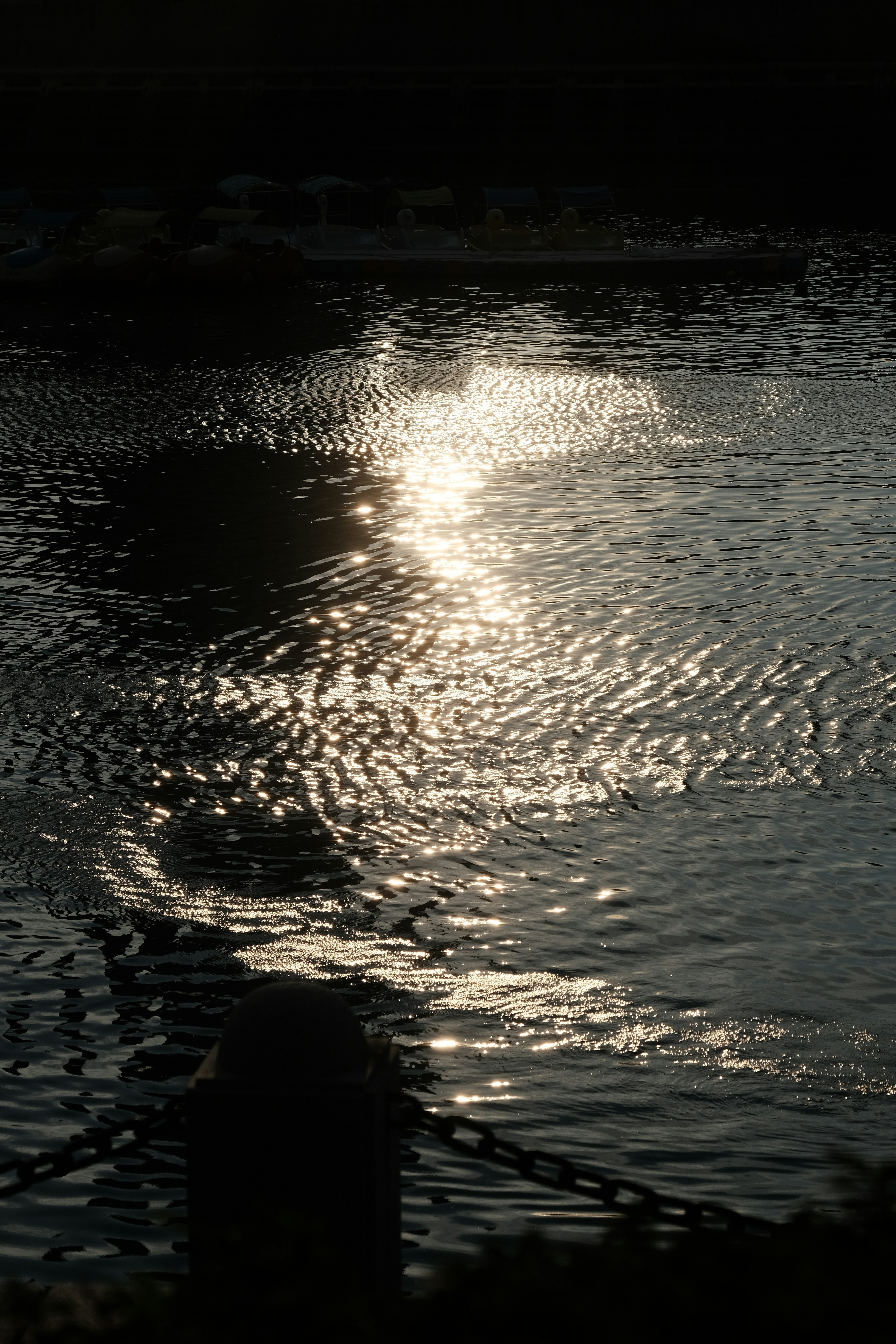 Glittering reflections dance across the surface of a tranquil body of water, capturing the fleeting beauty of sunlight. The scene evokes a sense of calm and serenity.