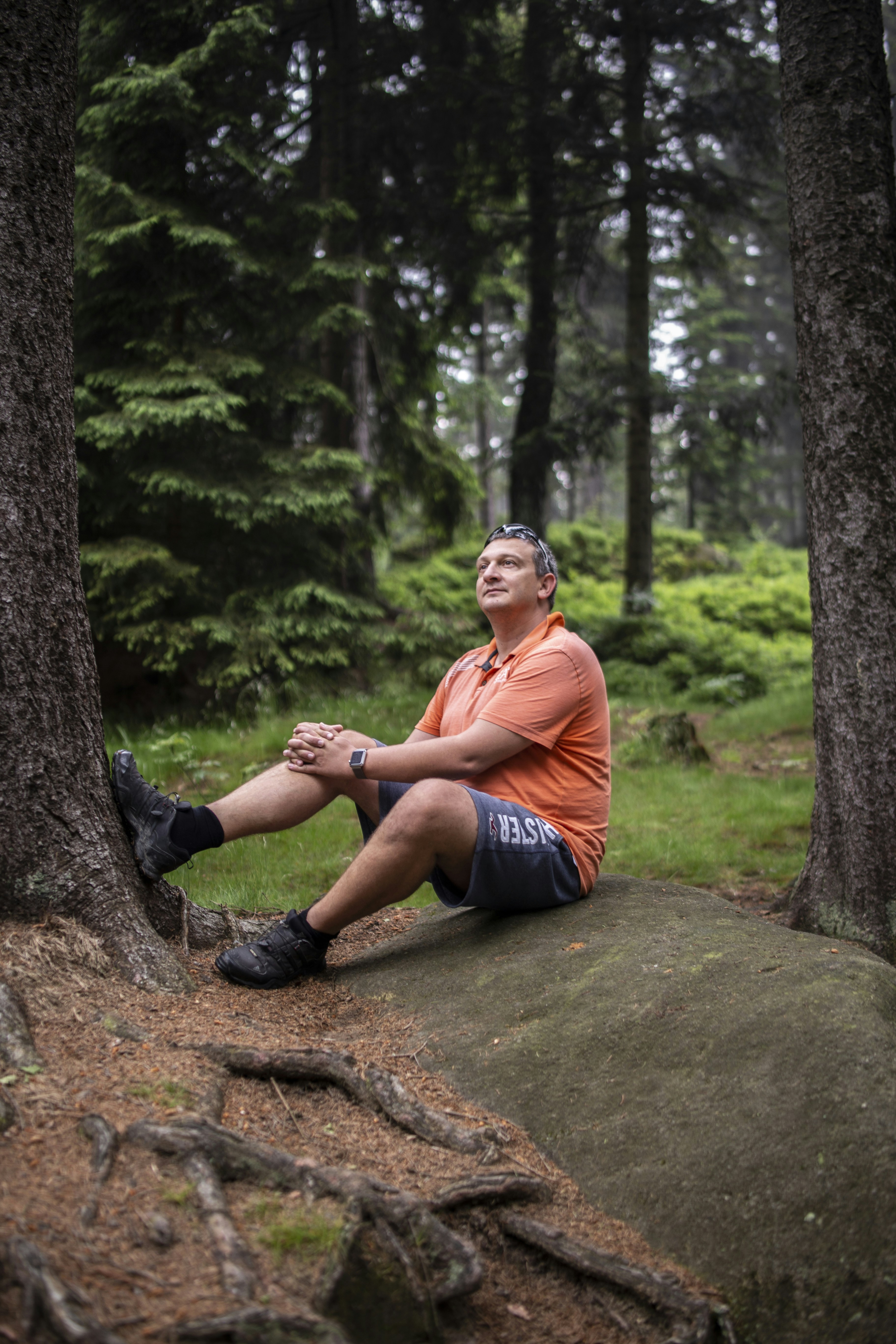Forest Recline: a man in orange pauses on a mossy rock between towering pines