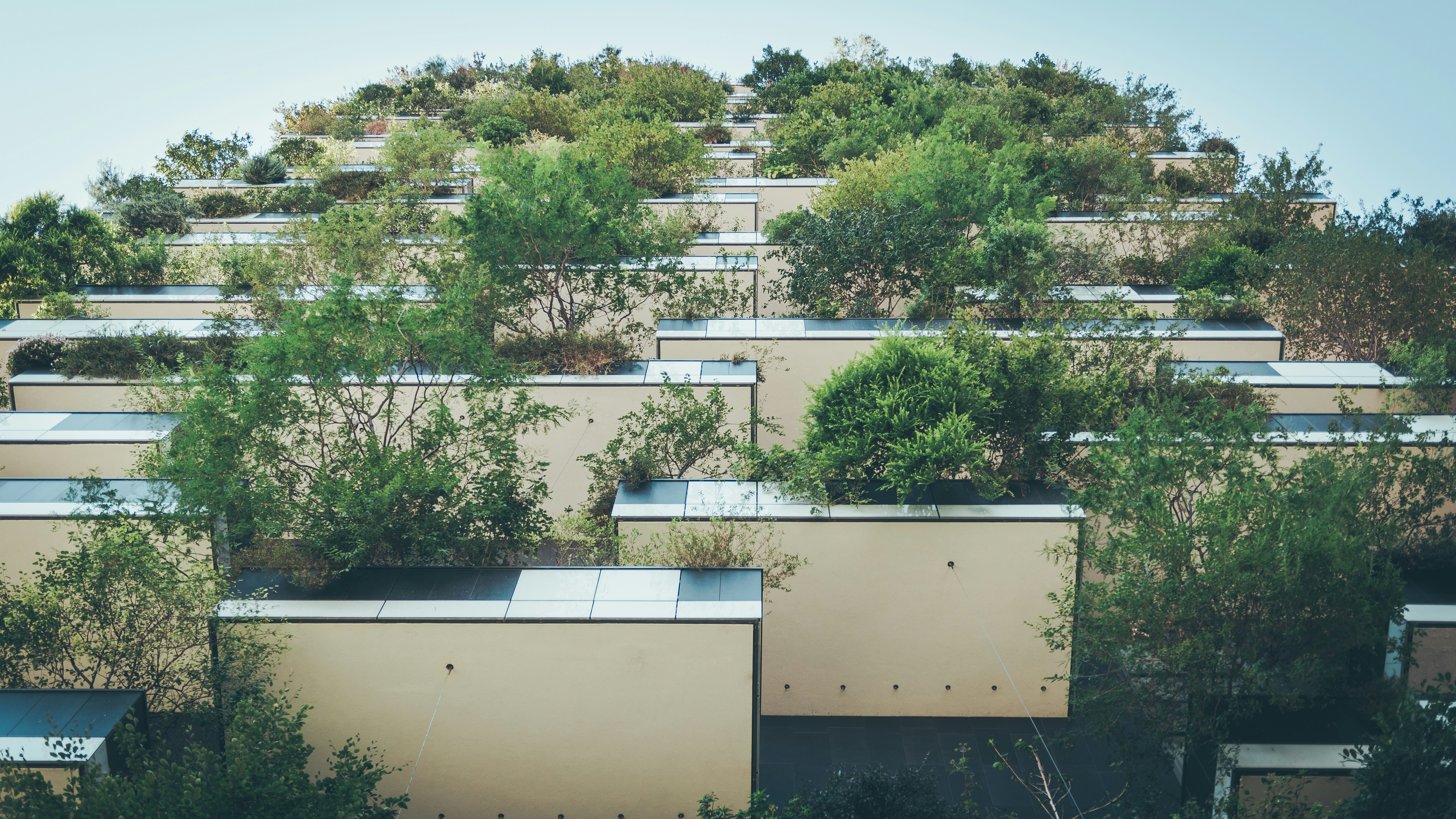 Urban Forest: Architecture Embracing NatureMilica Spasojevic