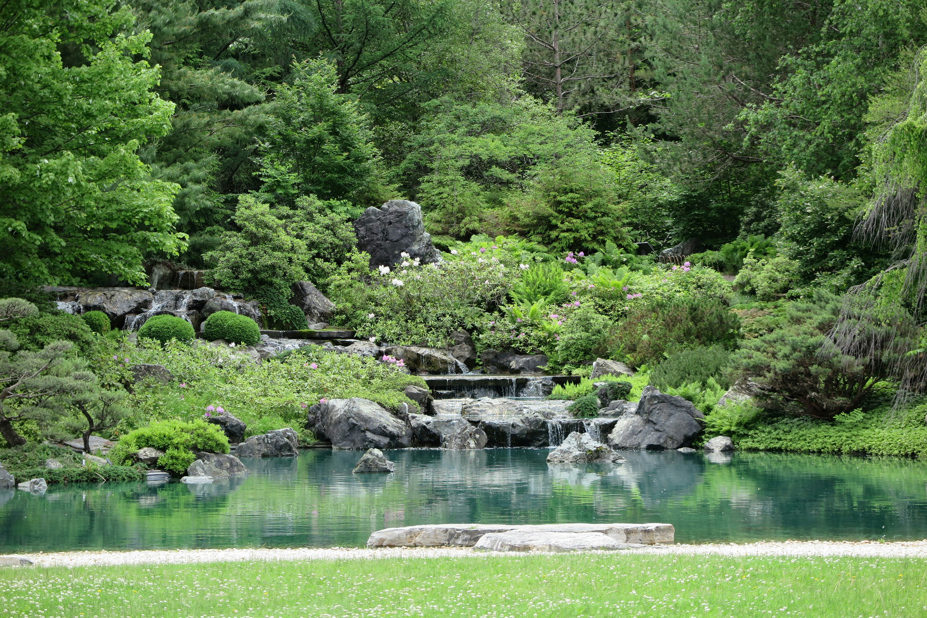 Lush greenery surrounds a tranquil pond with a gentle waterfall cascading over rocks, creating a peaceful garden scene.
