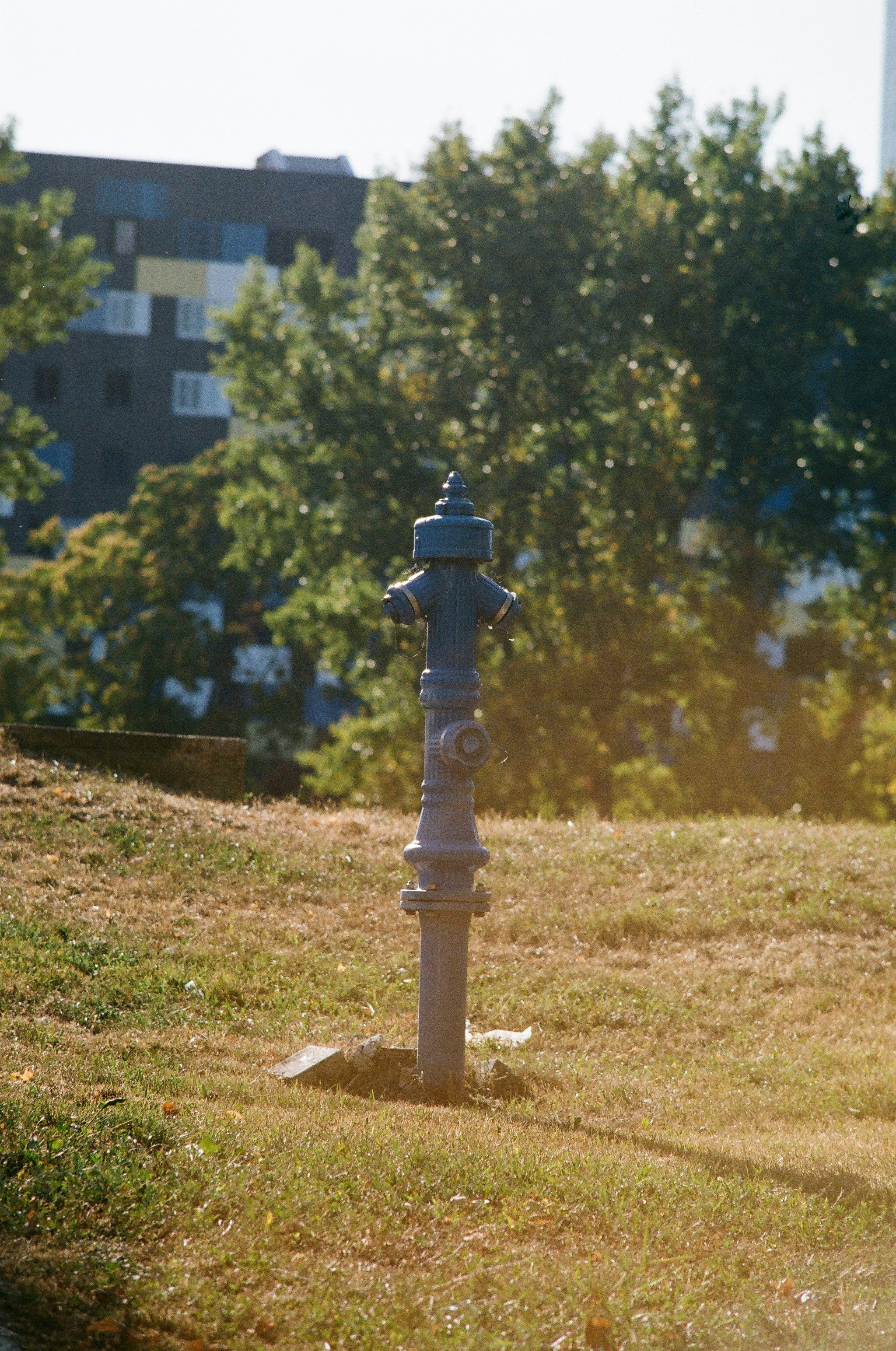 A fire hydrant in a park photo – Free Croatia Image on Unsplash