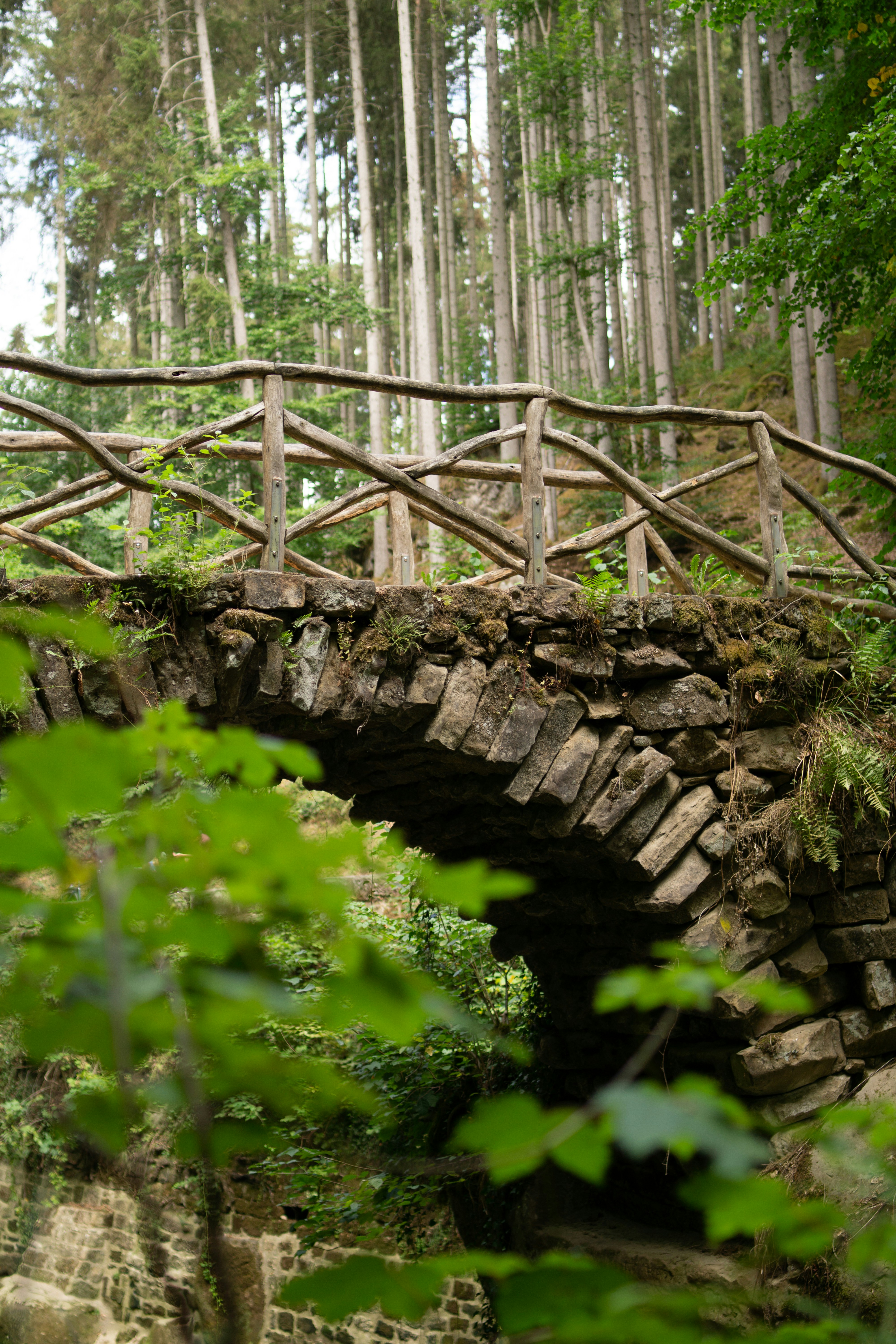 A bridge over a stream in the woods photo – Free Mullerthal waterfall ...