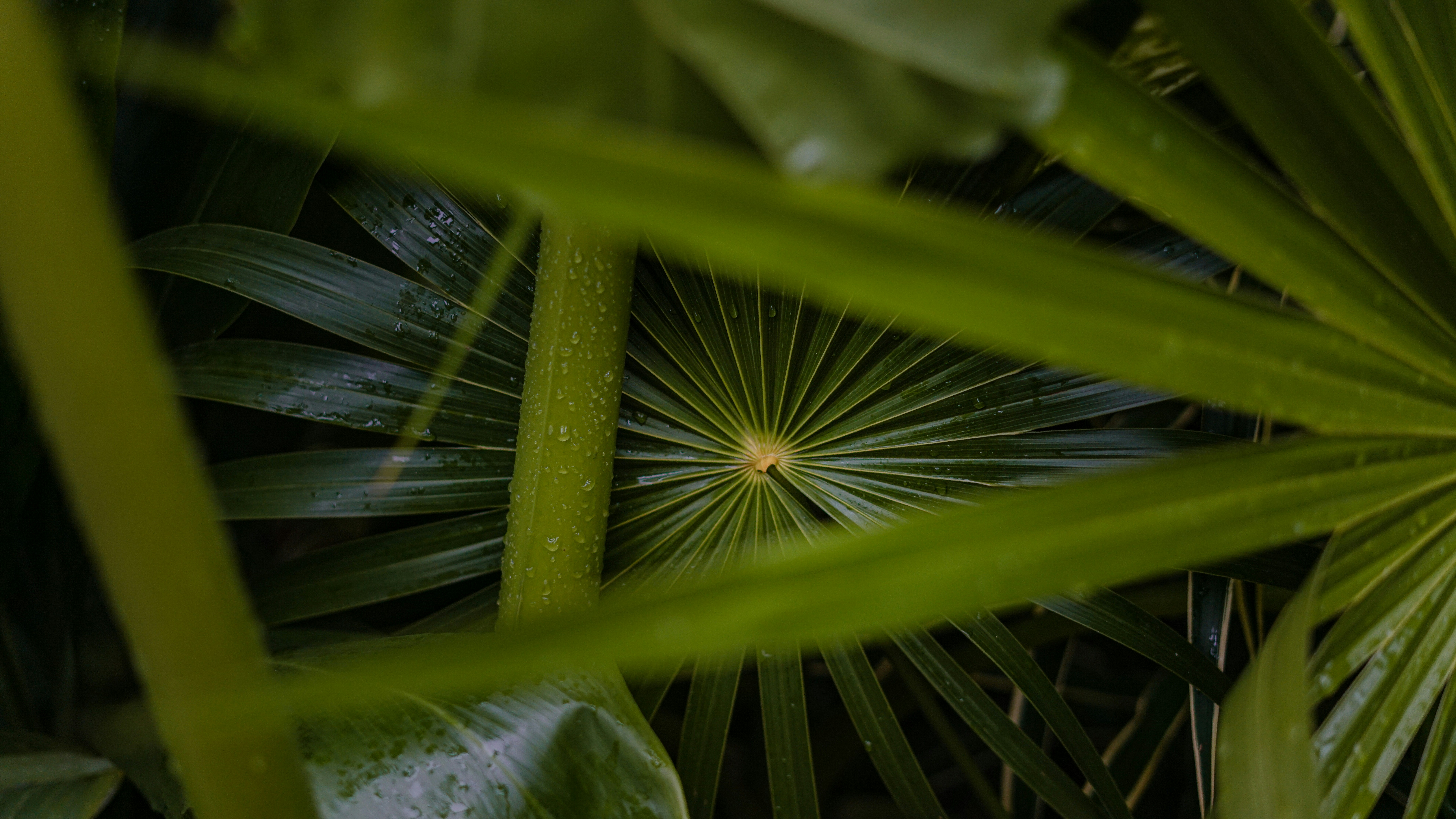 a close up of a spider web