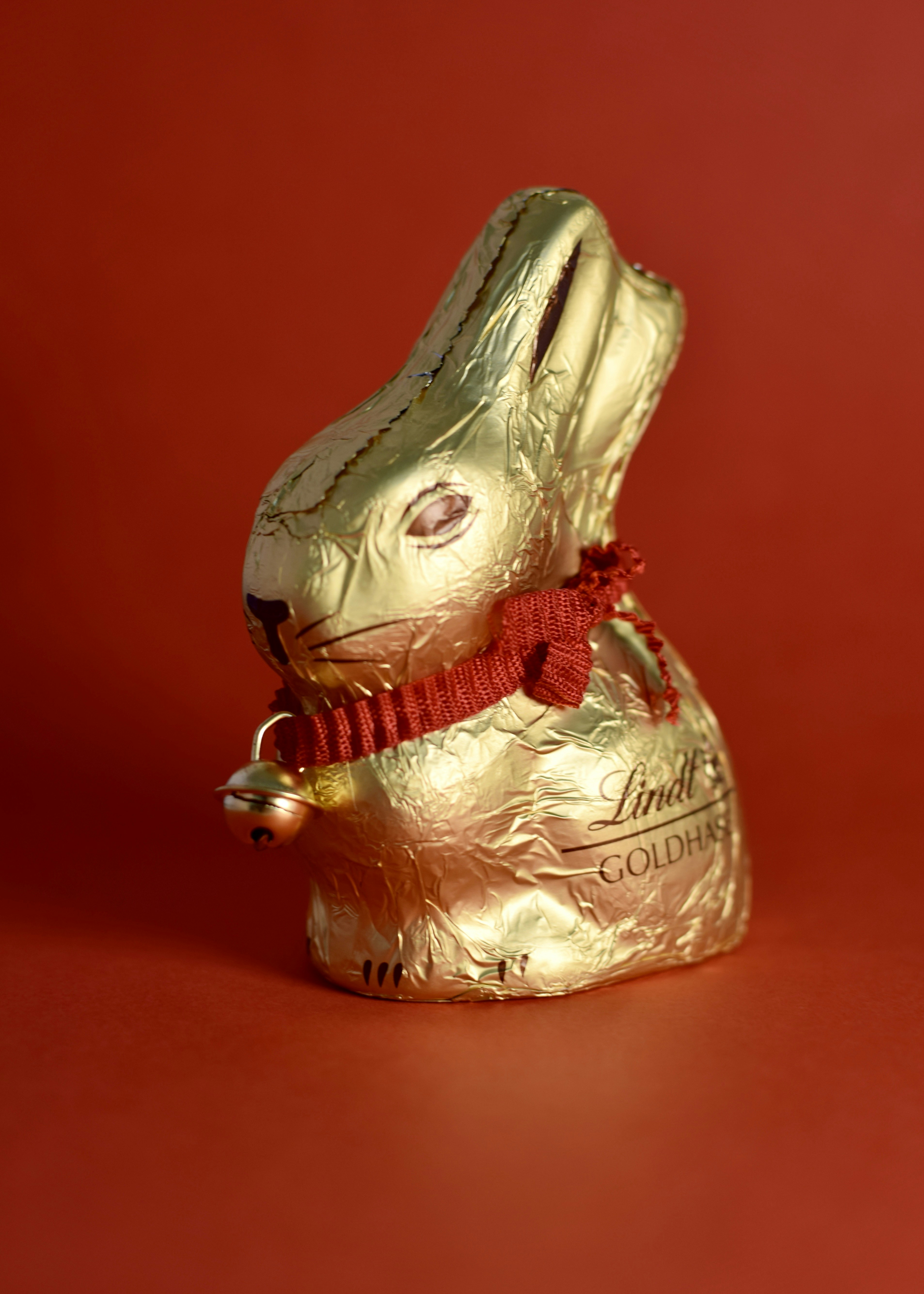 Golden Bunny in a Velvet Red Glow
