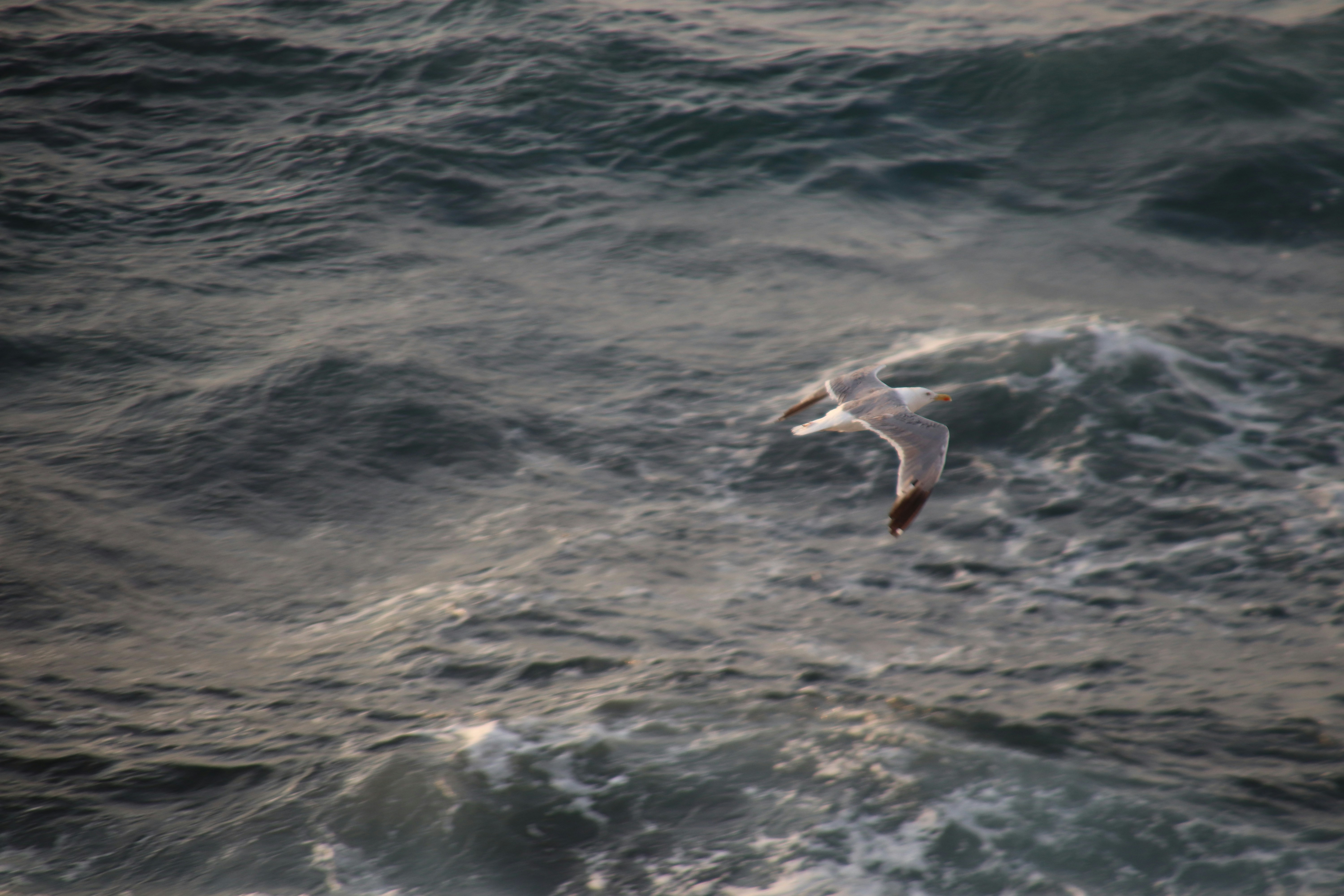 Photo by anil manchego with Canon EOS 200D