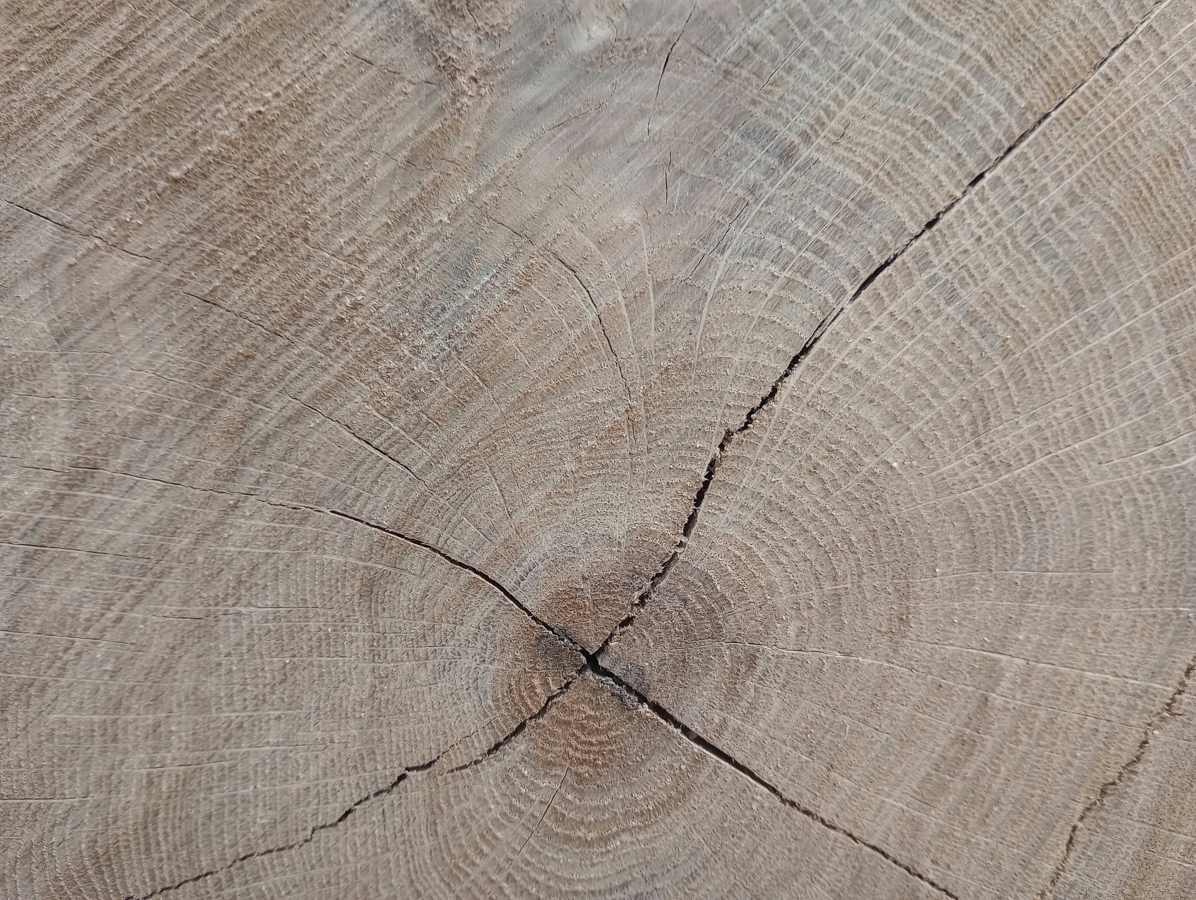 Photo by Artur Opala with Motorola Moto G31