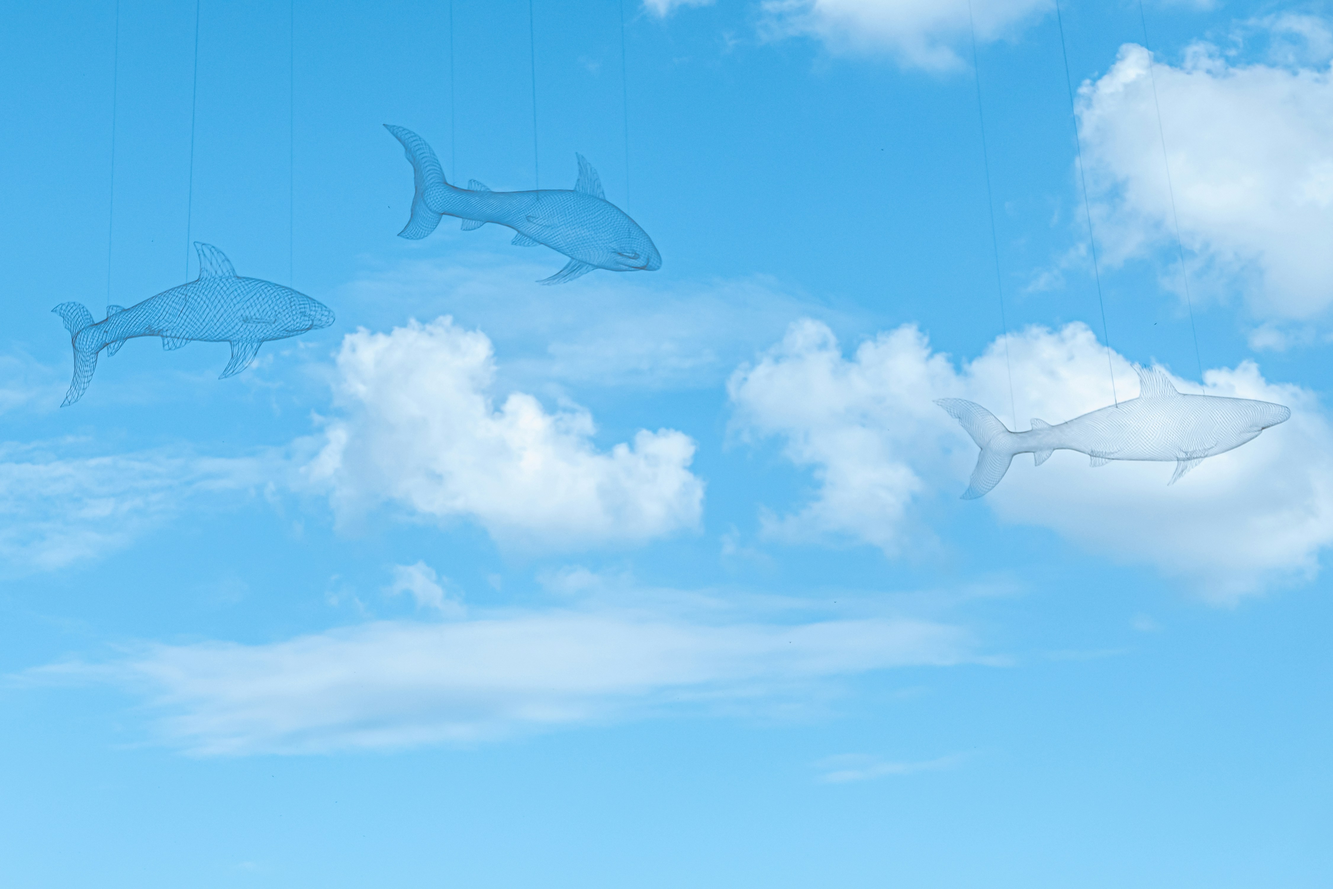 Wireframe fish figures suspended against a bright blue sky with fluffy white clouds.
