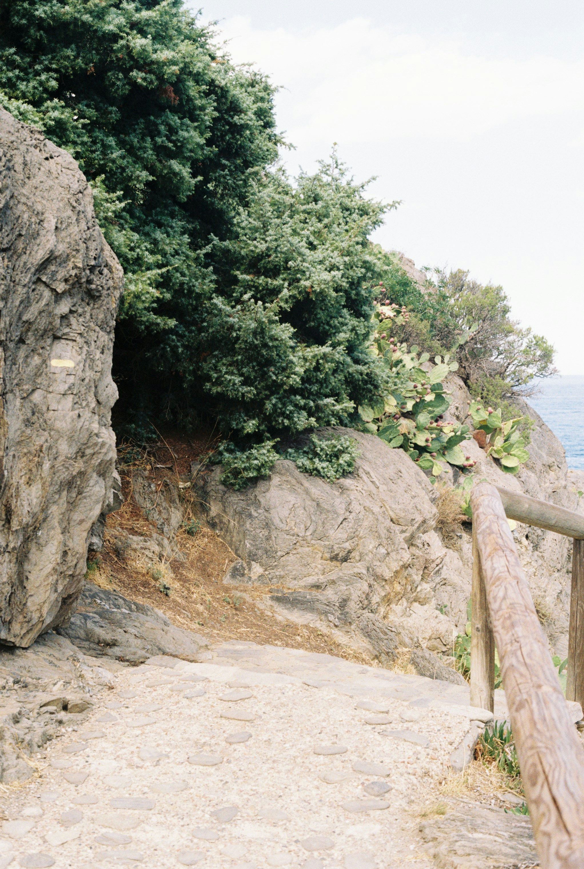 A rocky cliff with trees on it photo – Free Spain Image on Unsplash