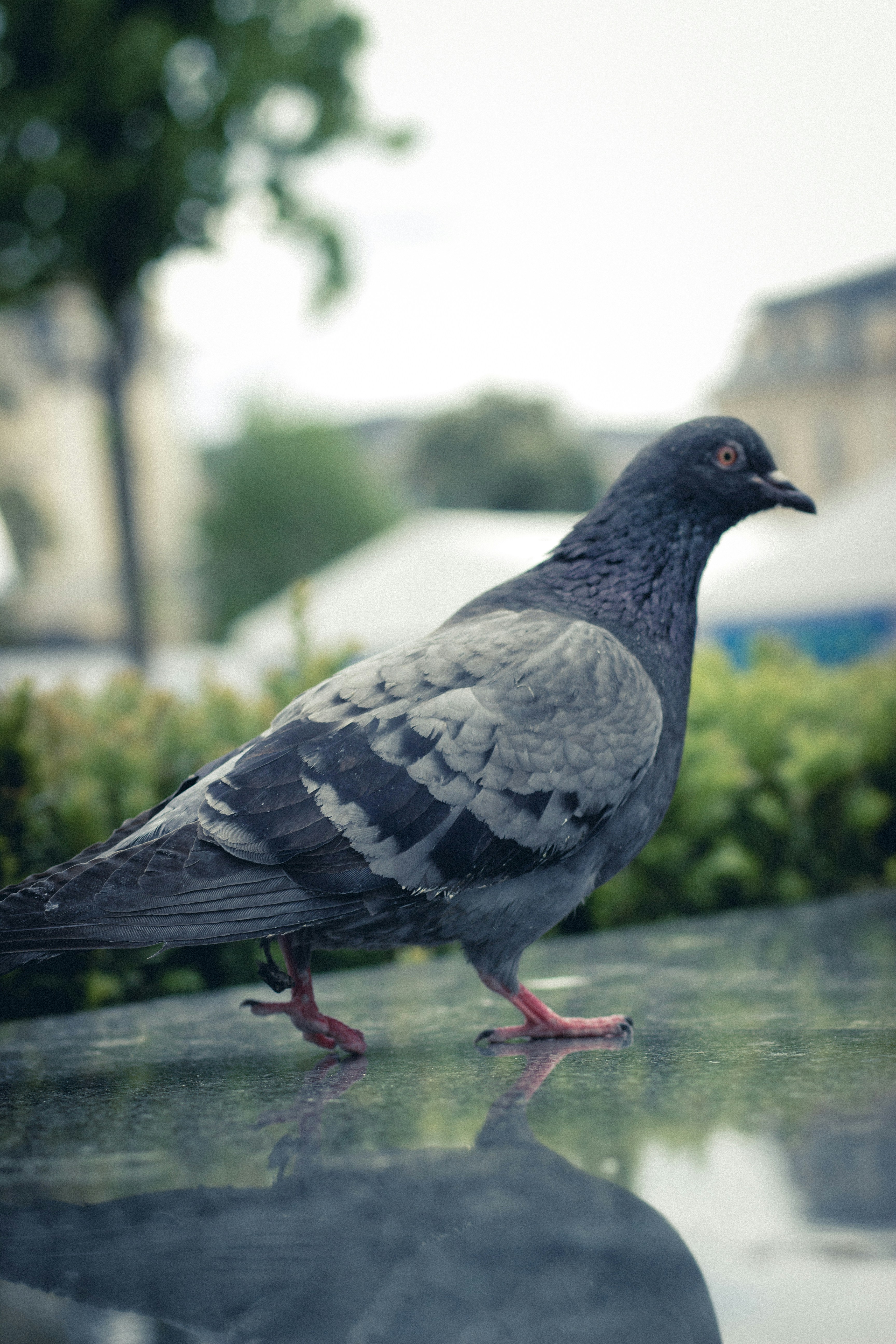 Photo by Vladislav Anchuk with Canon EOS 600D