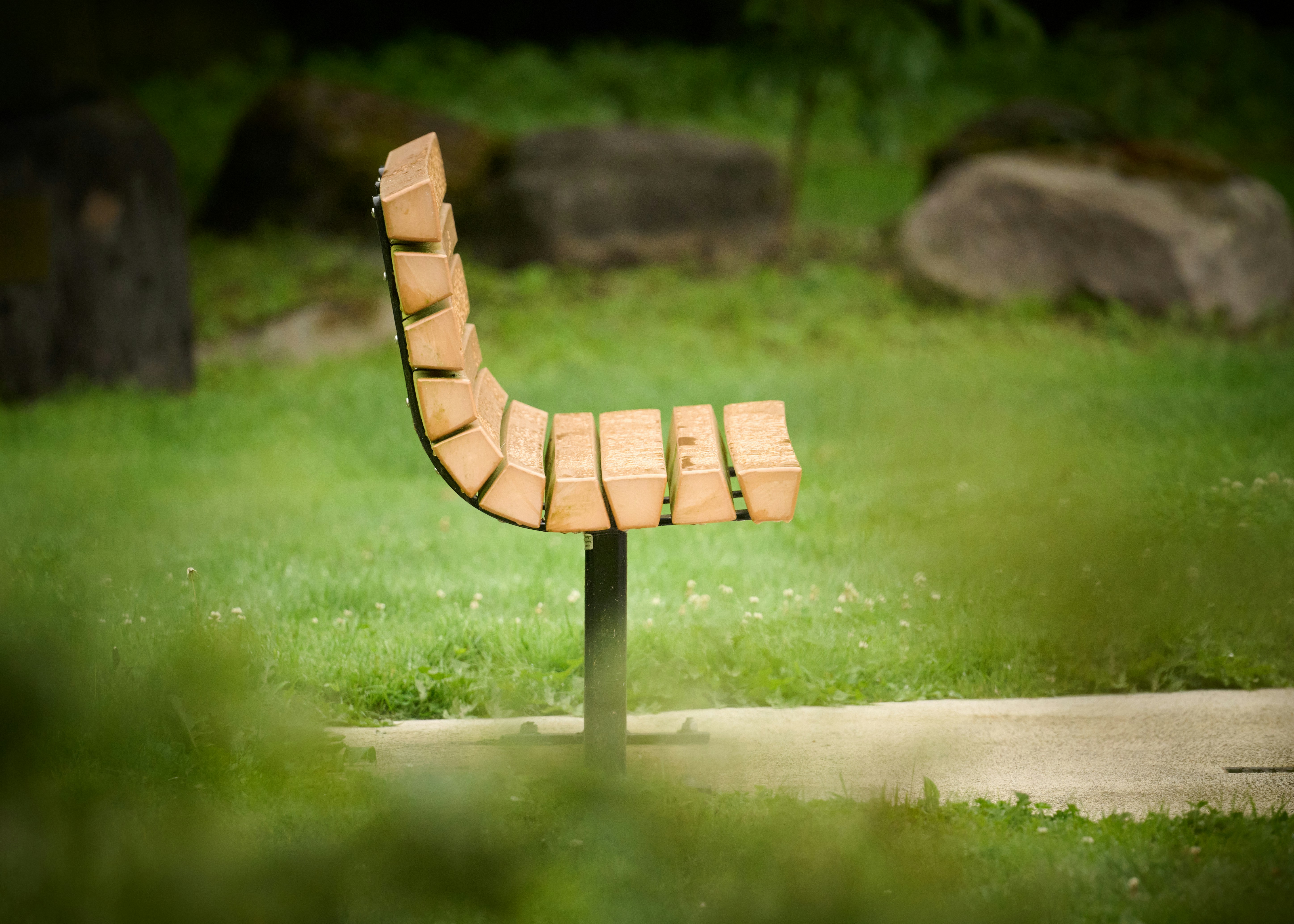 Arc of Rest: A Curved Wooden Bench in a Quiet Park