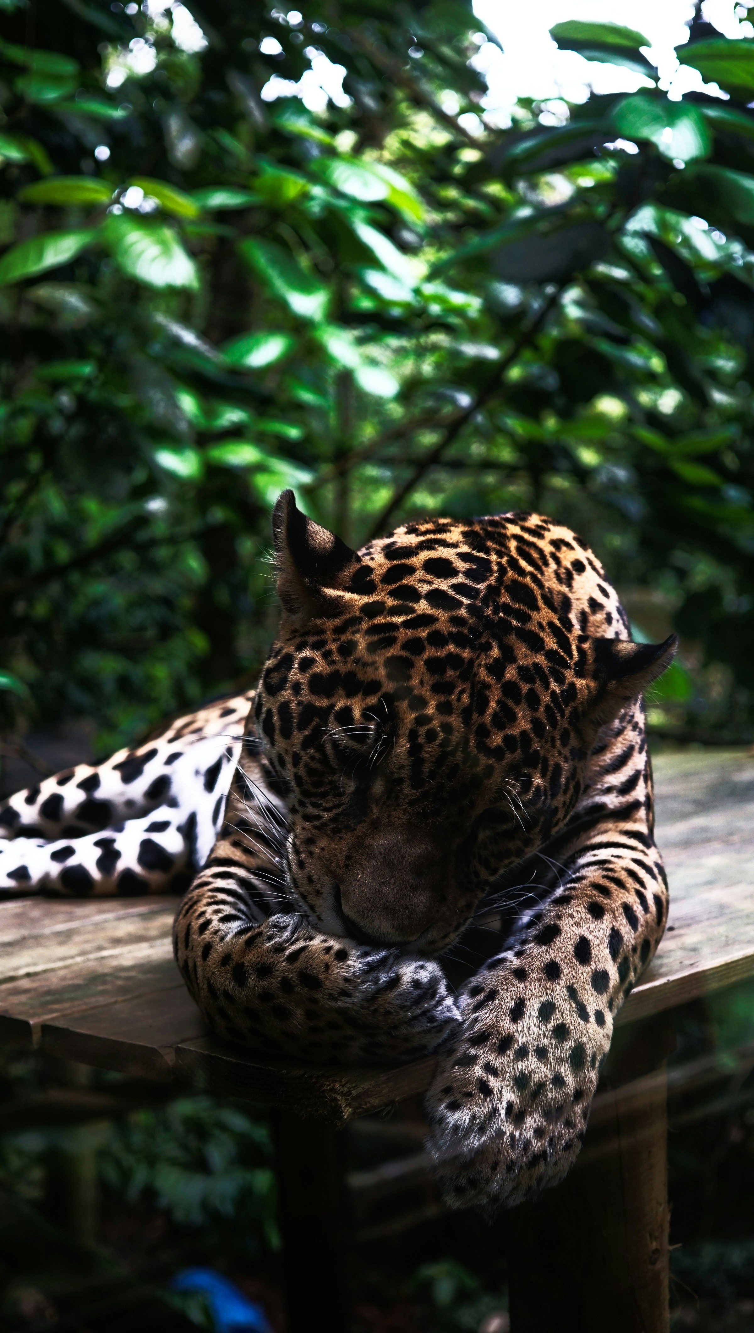 Photo by Raymond A. with Sony Alpha 6000