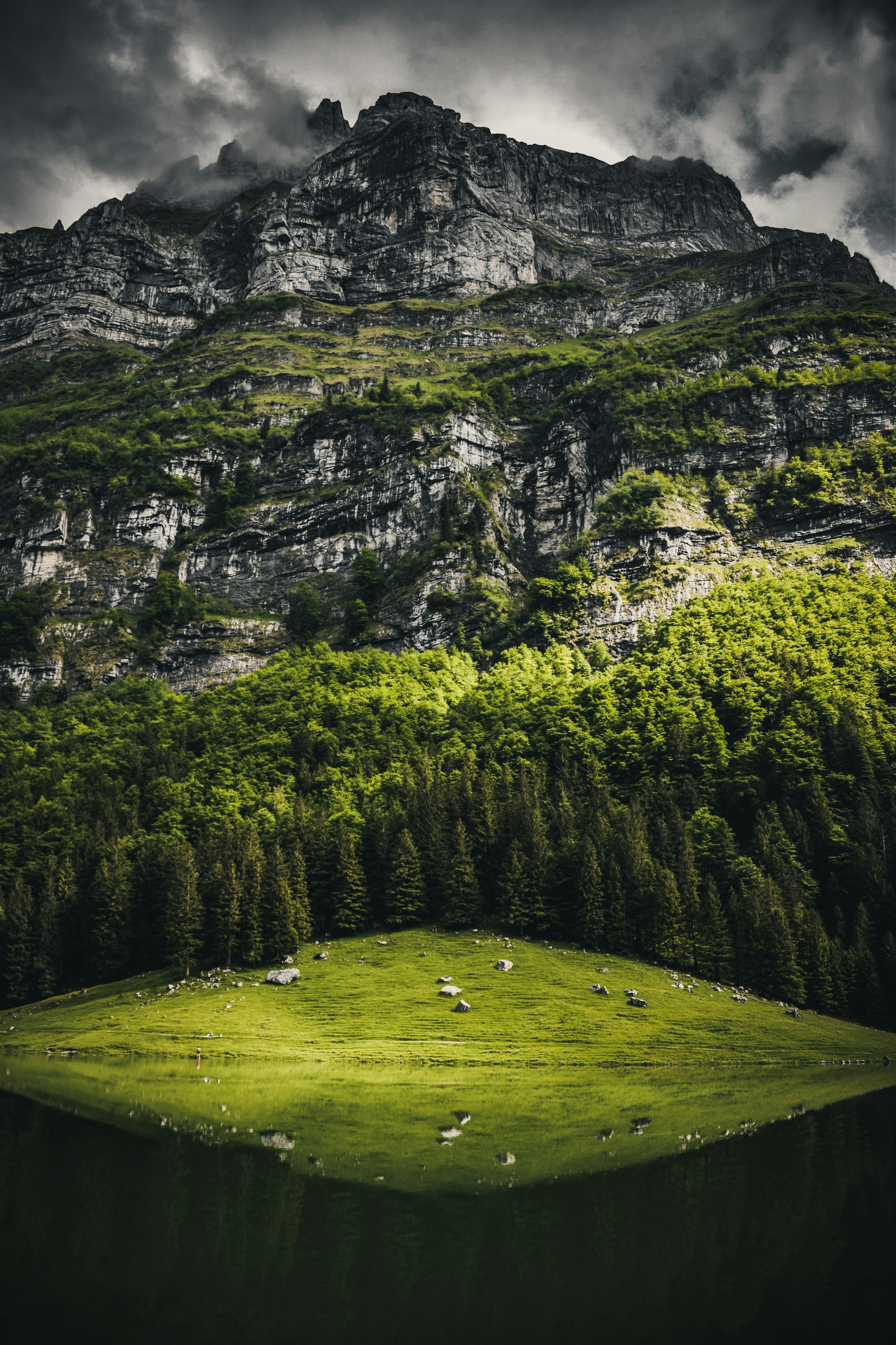 Verdant Slopes Beneath a Steep Granite Crown
