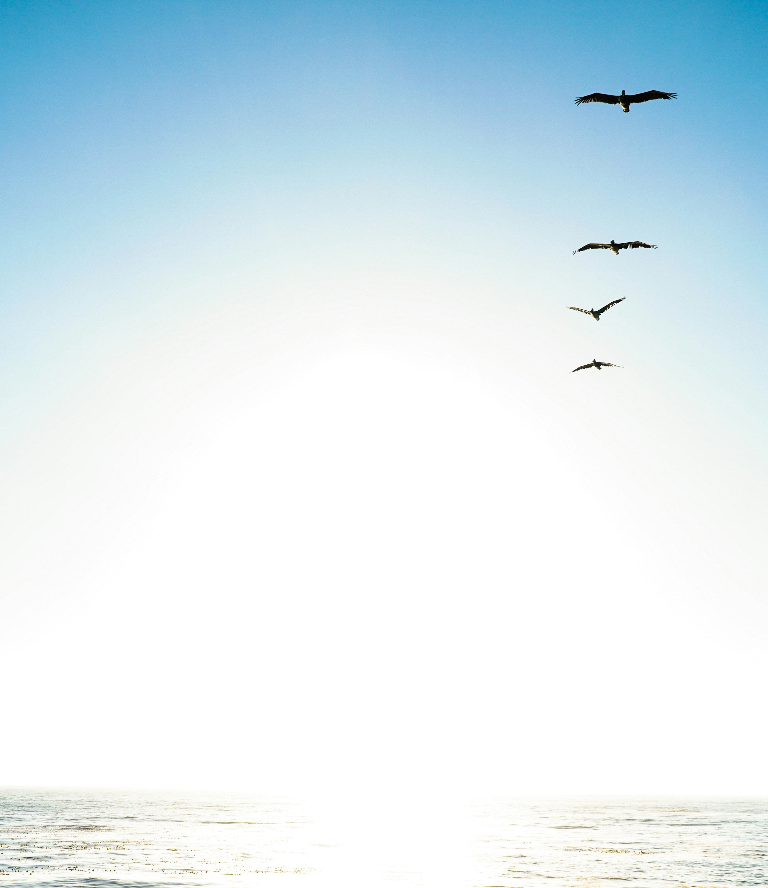 Photo by Joel Durkee with Sony Alpha 6100