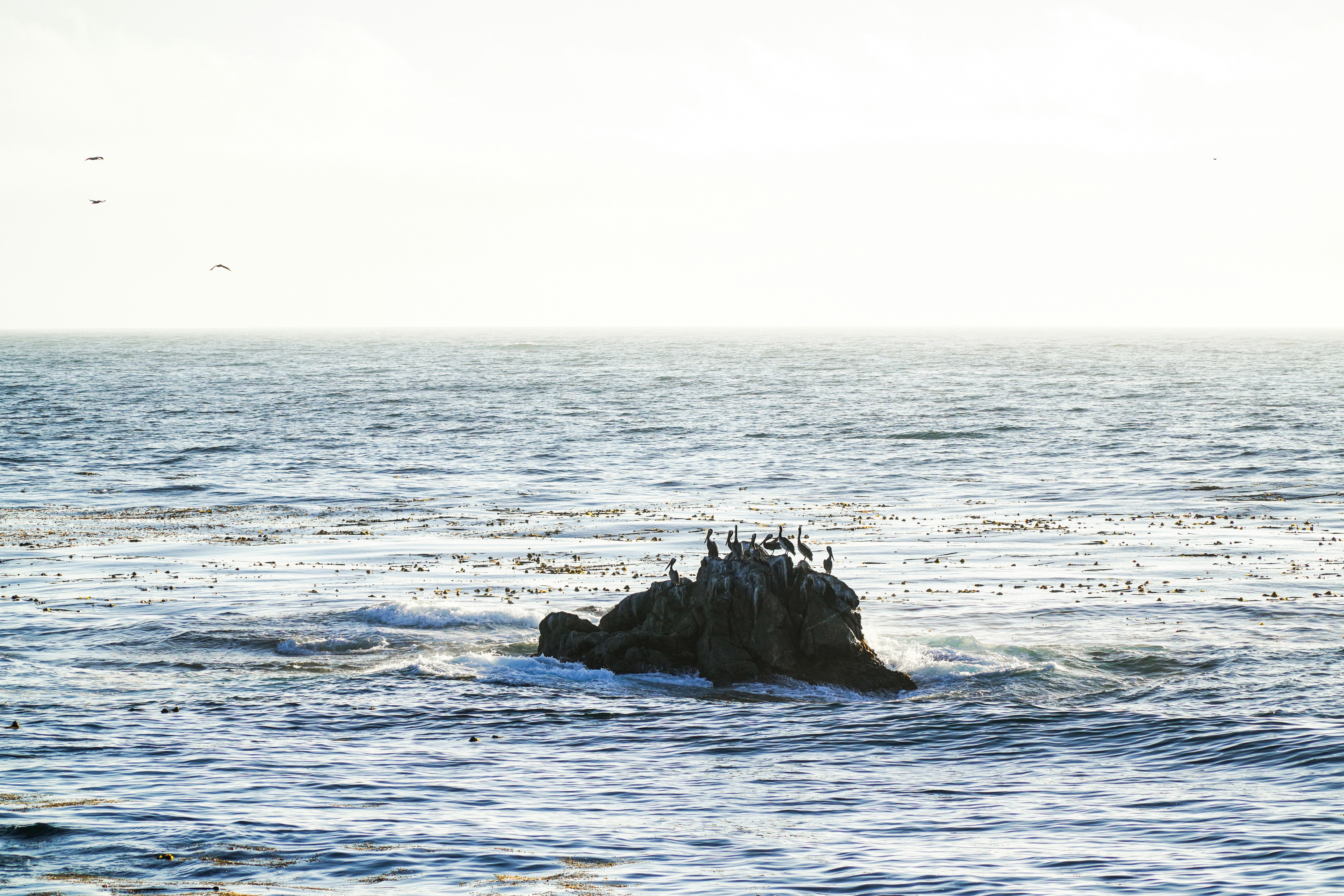 Photo by Joel Durkee with Sony Alpha 6100