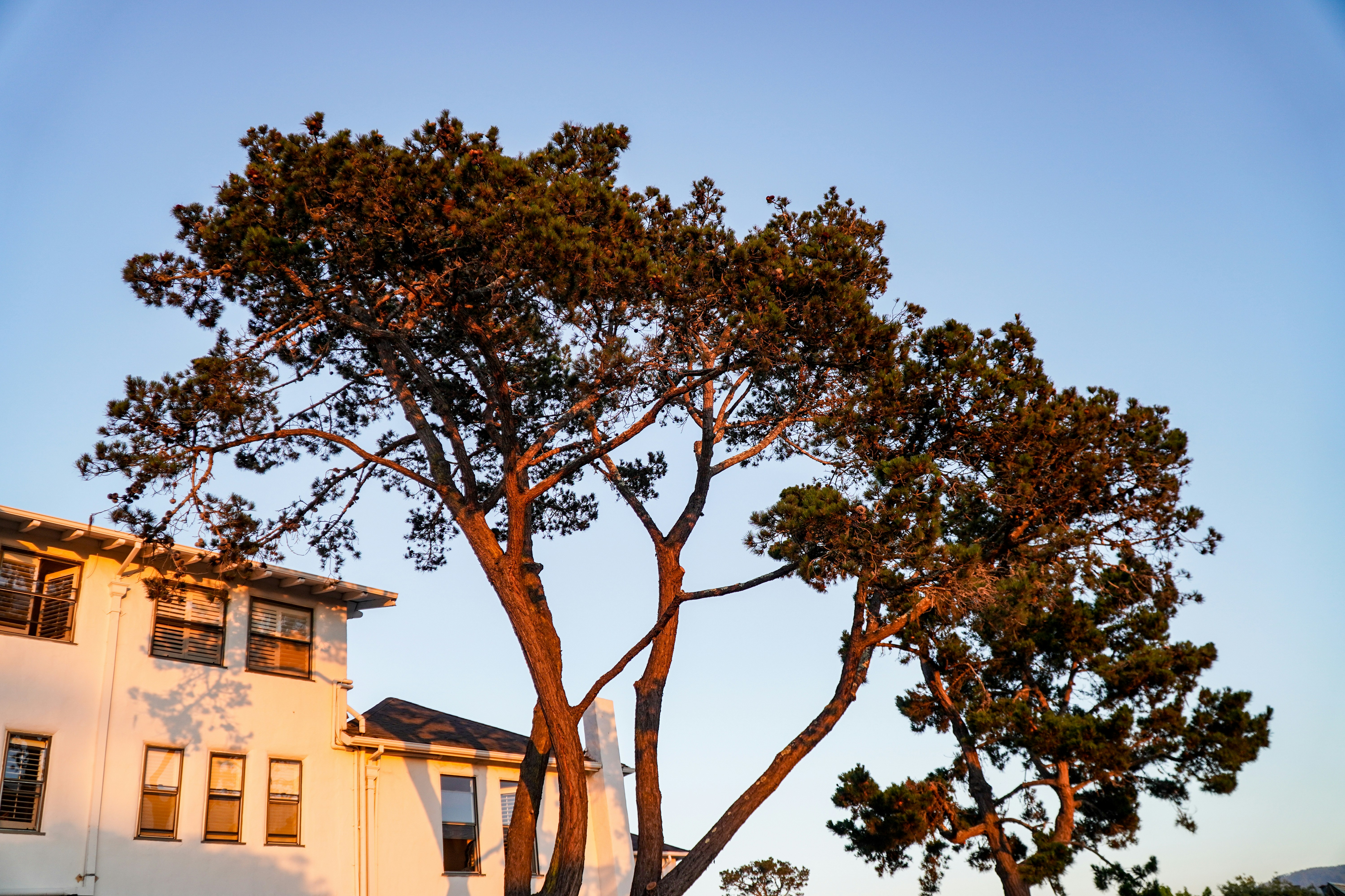 Photo by Joel Durkee with Sony Alpha 6100