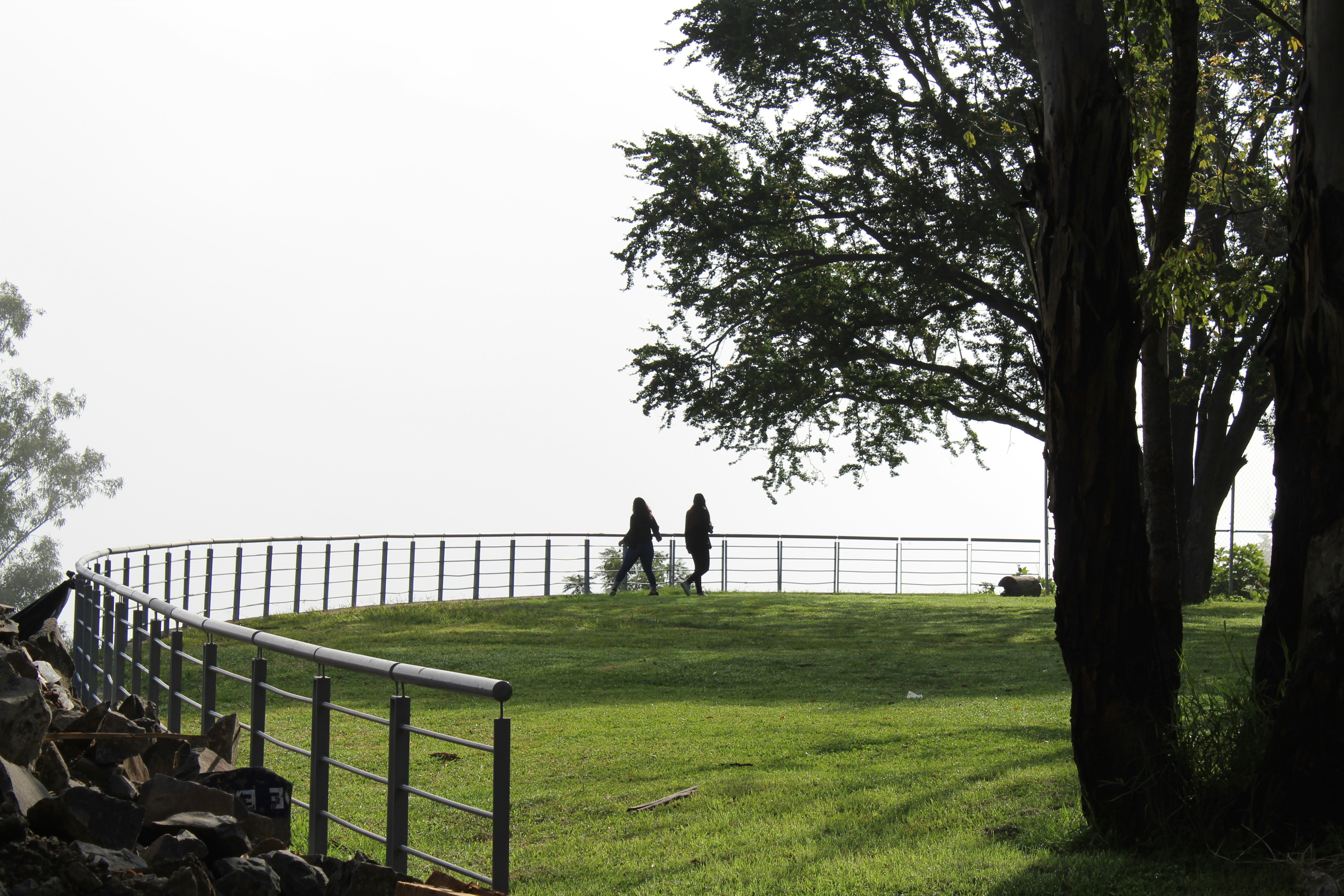 A group of people walking on a path in a grassy field photo – Free ...