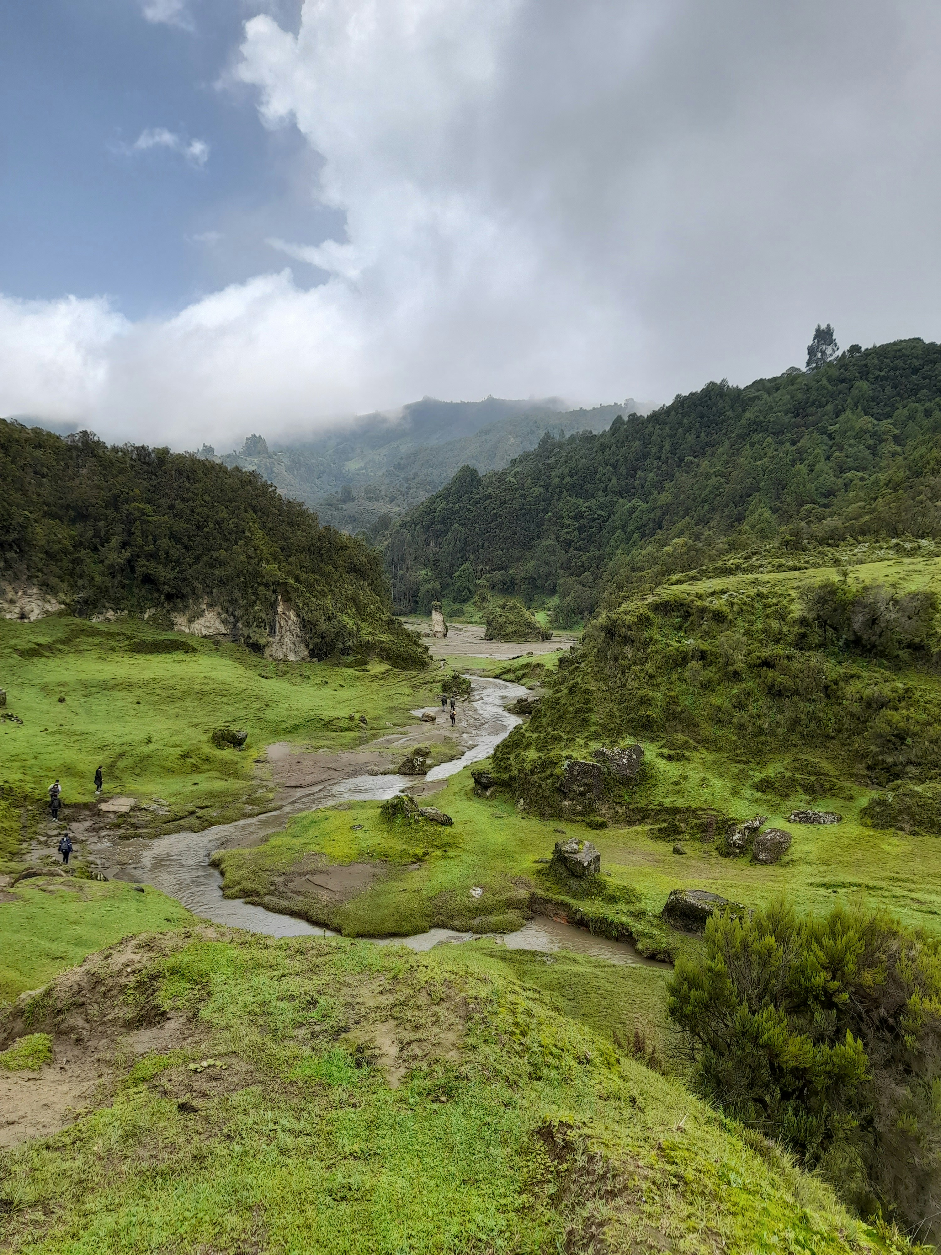 Sample photo from Samsung Galaxy M12