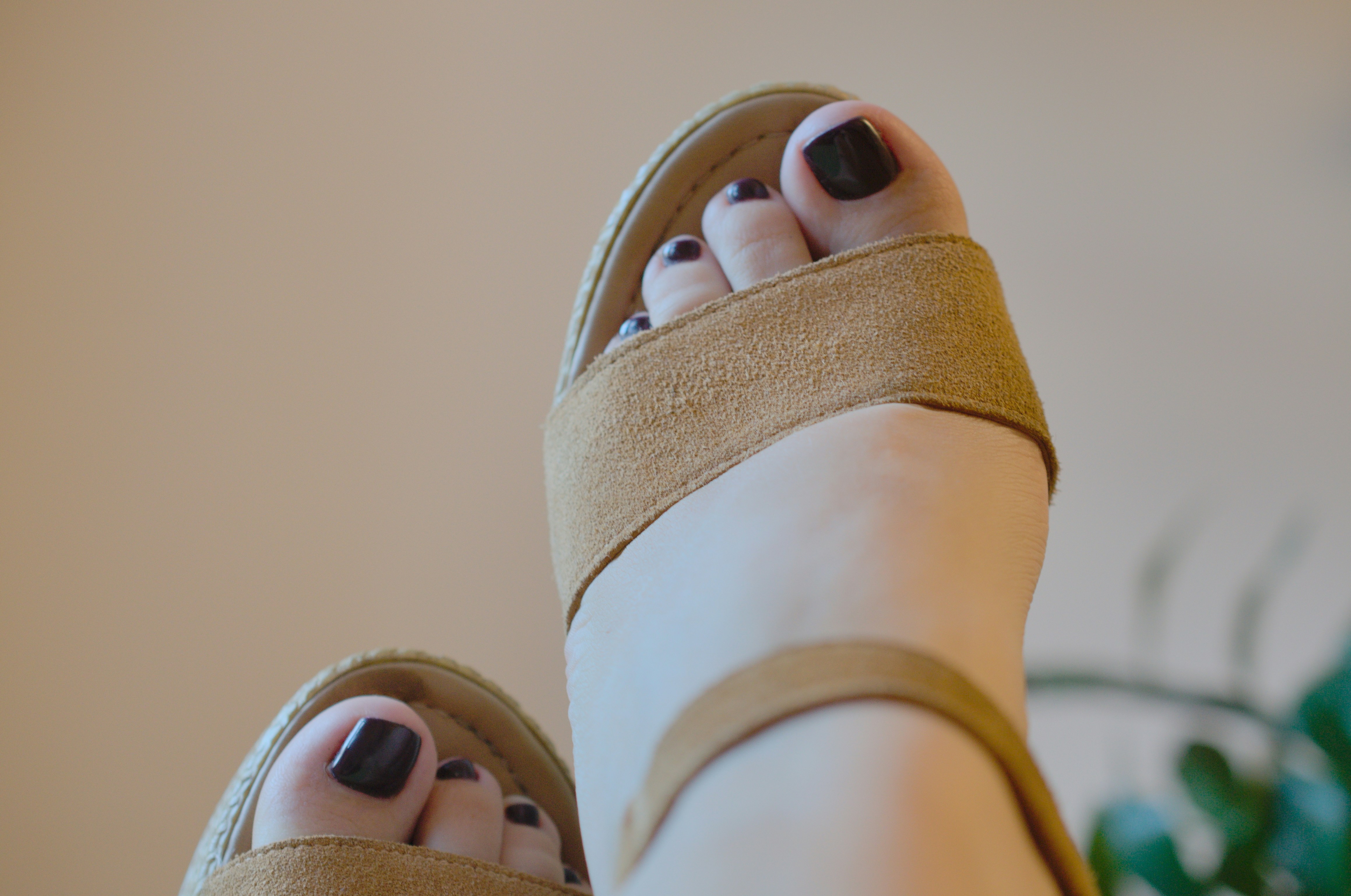 Konstantin Shmatov (@shmatov) | Comunidad de fotos de Unsplash