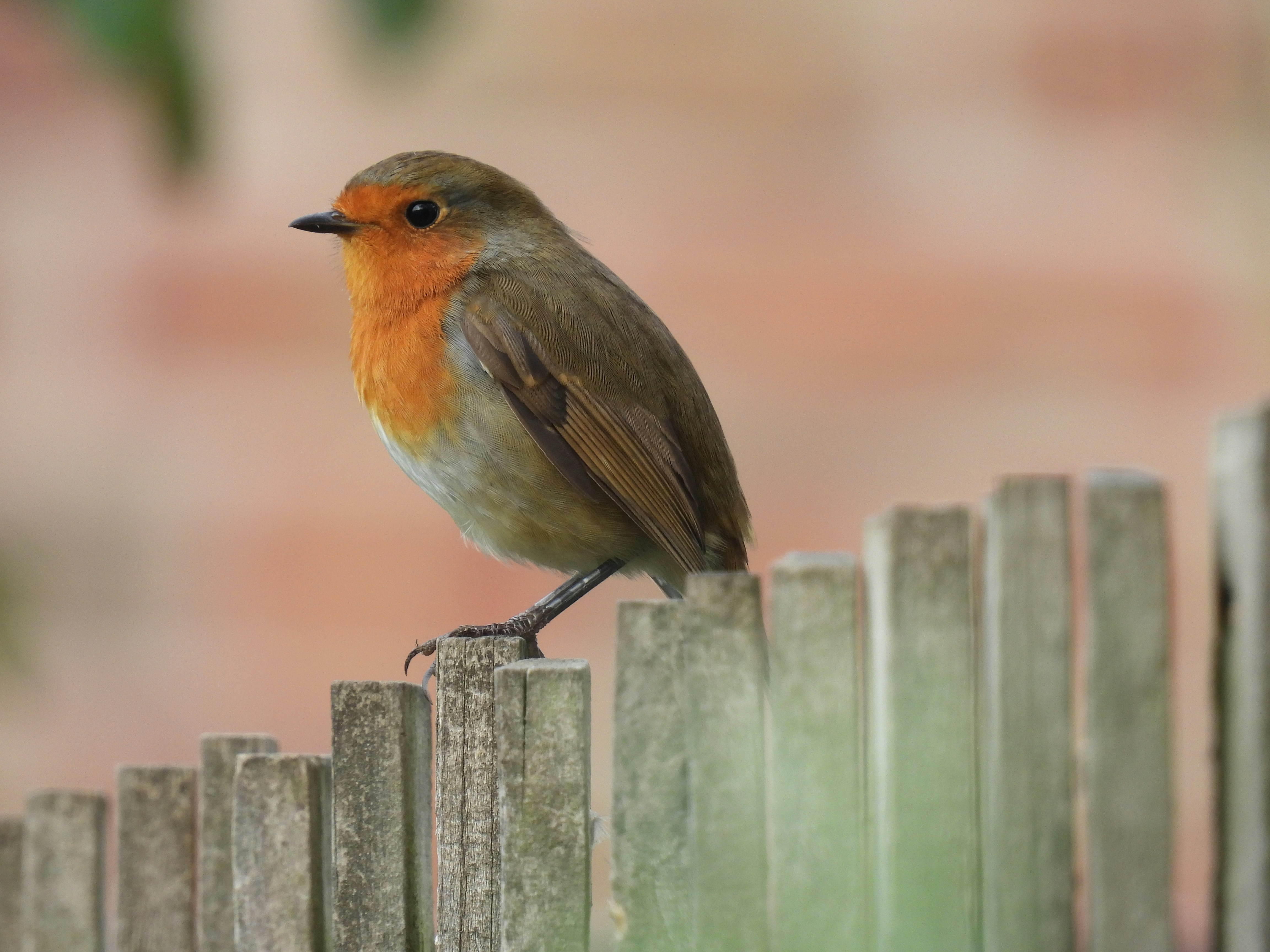 Kevin Yates (@kevinyates64) | Komunitas Foto Unsplash