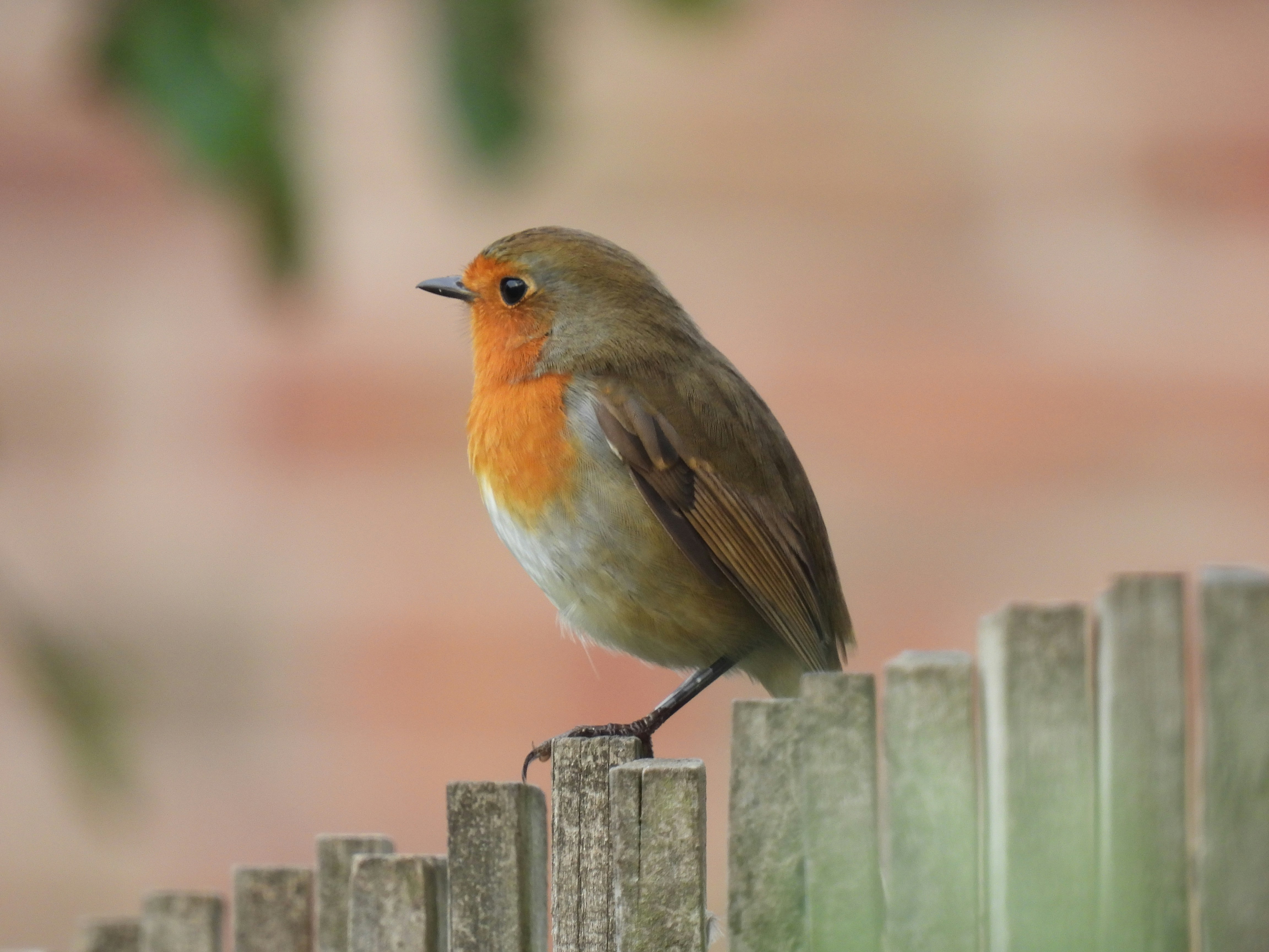 Kevin Yates (@kevinyates64) | Komunitas Foto Unsplash