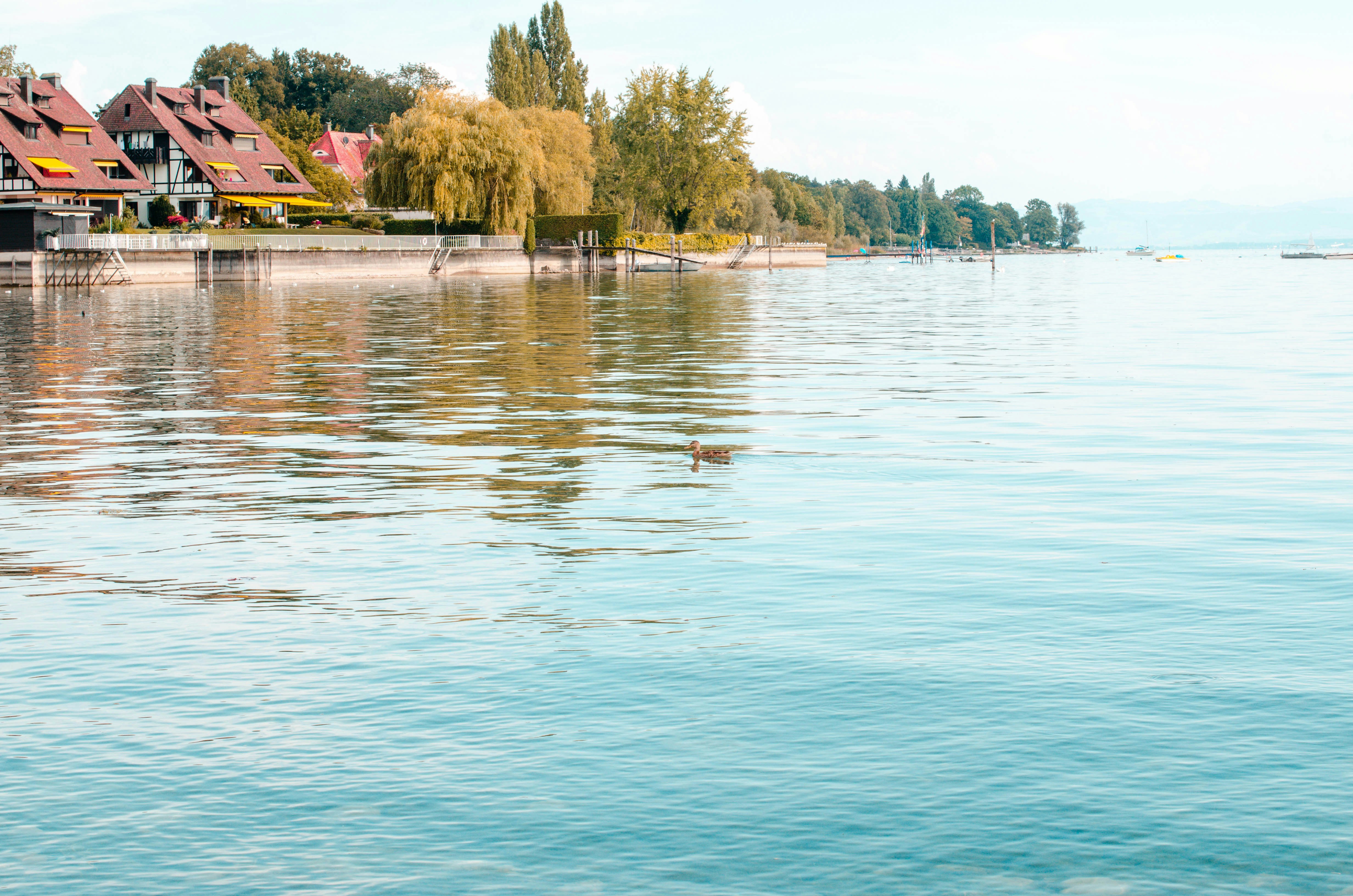 a body of water with houses and trees in the background