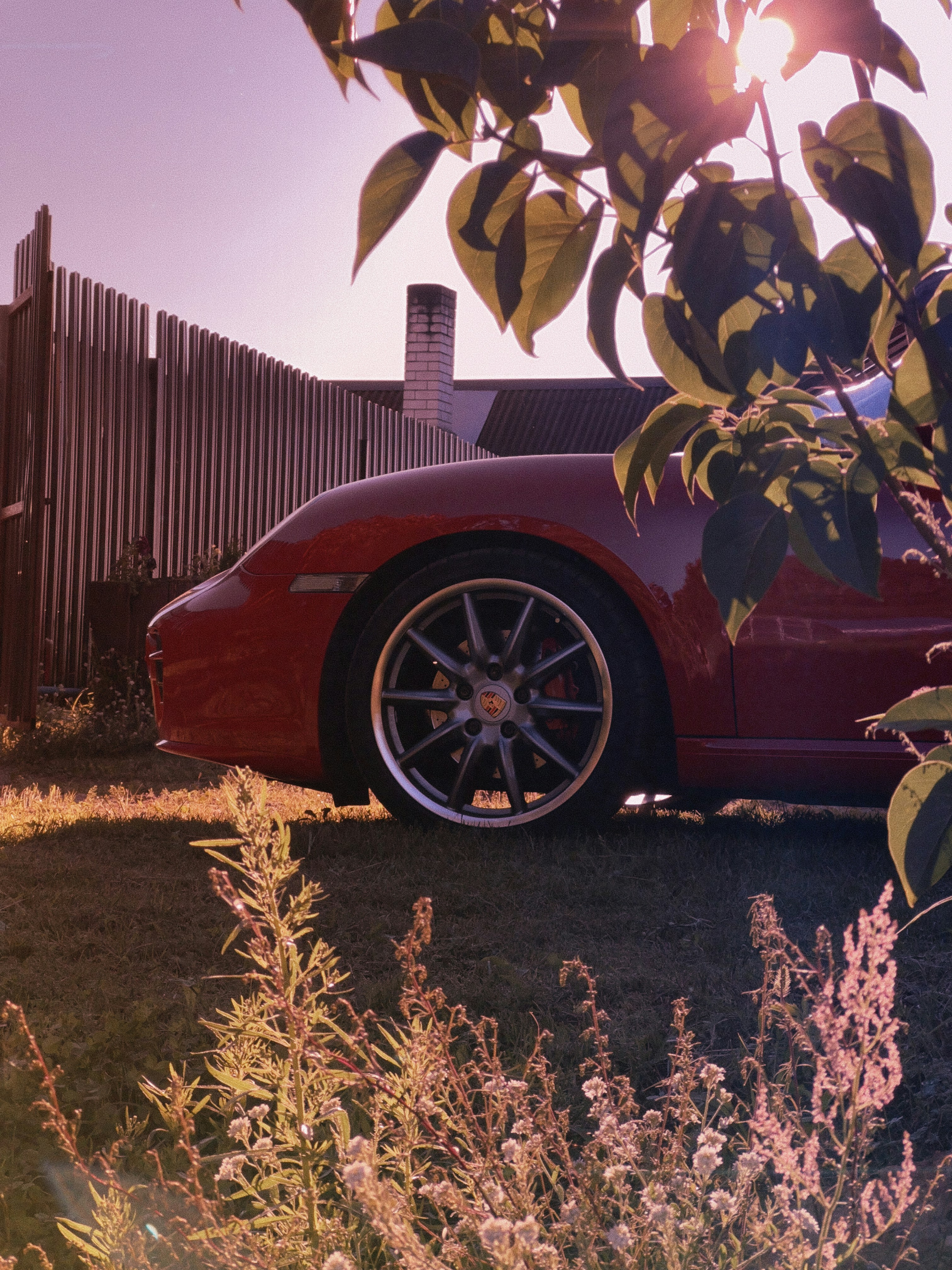 Crimson Porsche Wheel under Sunlit Foliage: A Garden-Edge Automotive Portrait