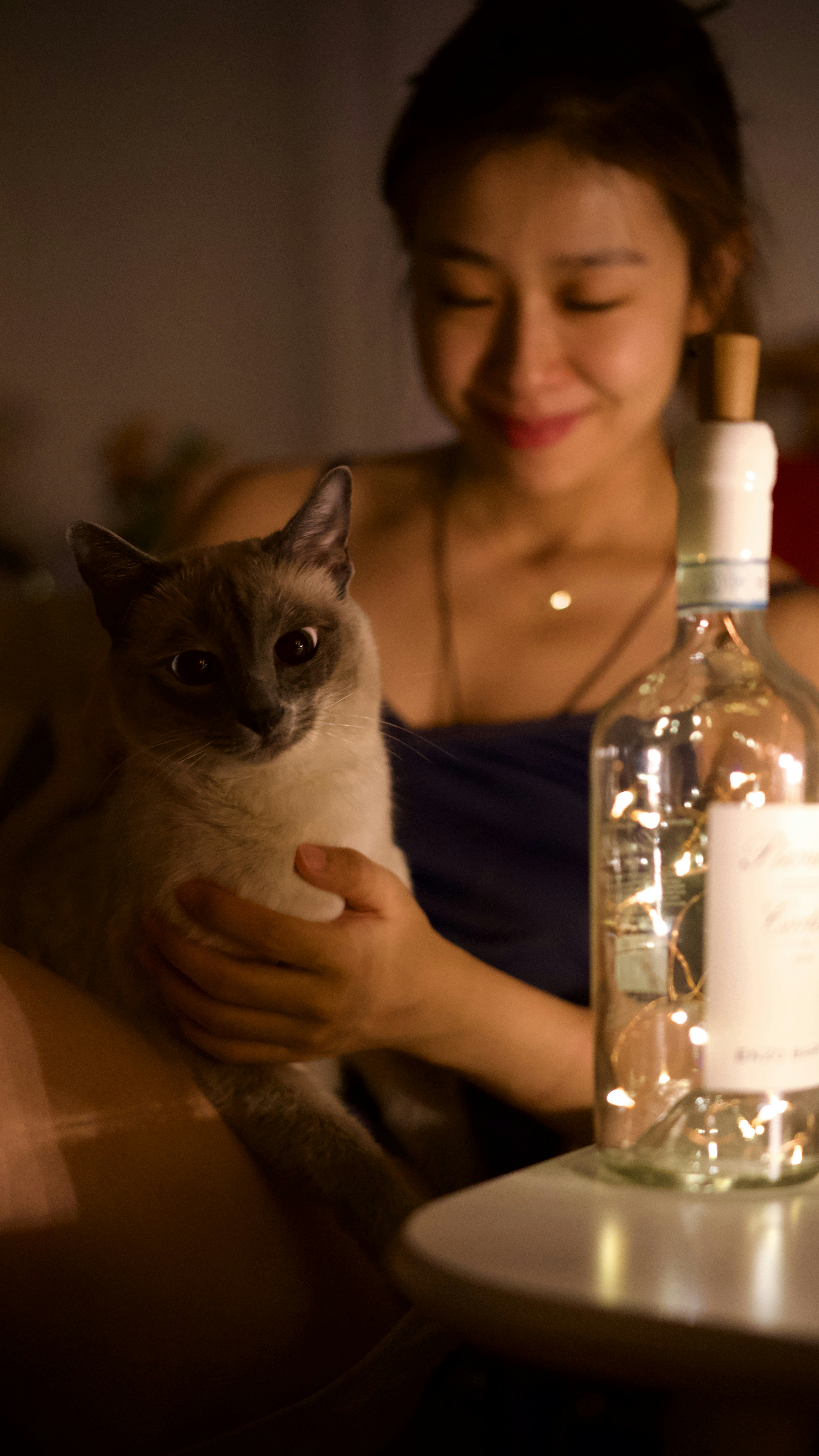 A cozy scene featuring a person holding a cat, illuminated by soft light from a decorative bottle with fairy lights.