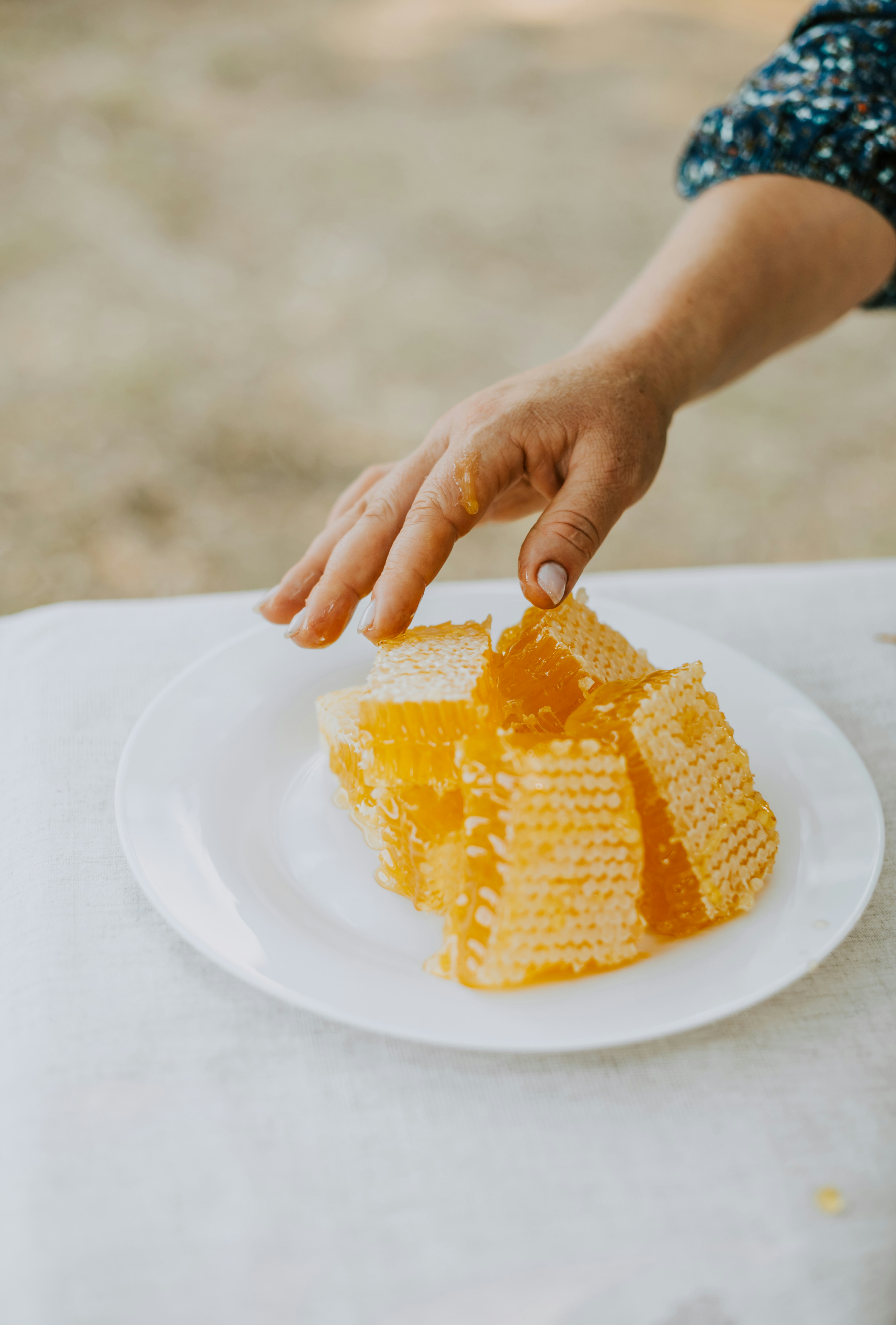 Sunlit Hexagons on a White Plate: A Hand Reaches for Honeycomb